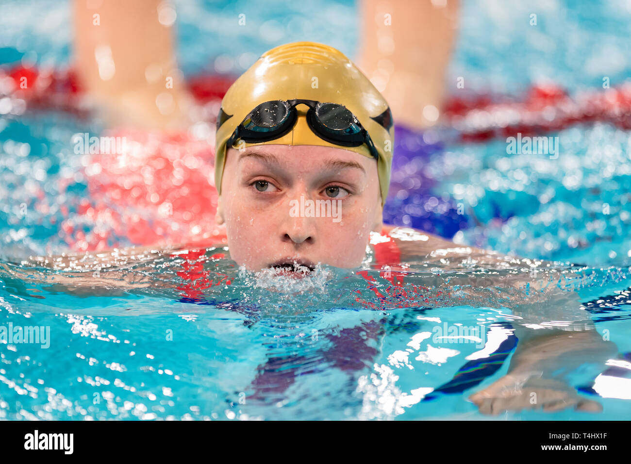 Women 50m breaststroke final hi-res stock photography and images - Alamy