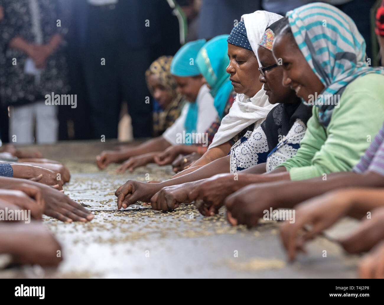 17 April 2019, Ethiopia, Addis Abeba: In the "Bagersh Coffee Factory ...