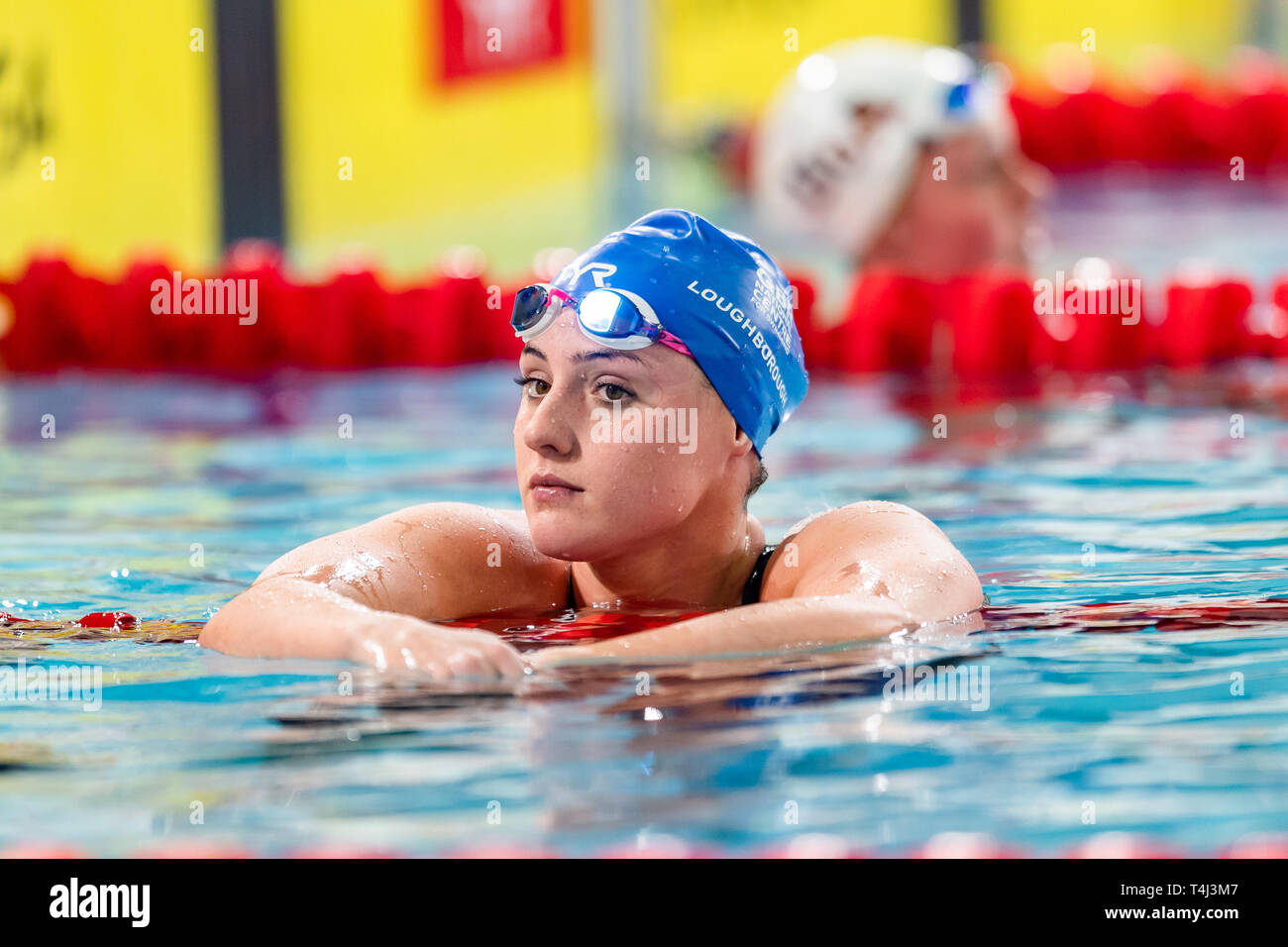 Molly dive hi-res stock photography and images - Alamy