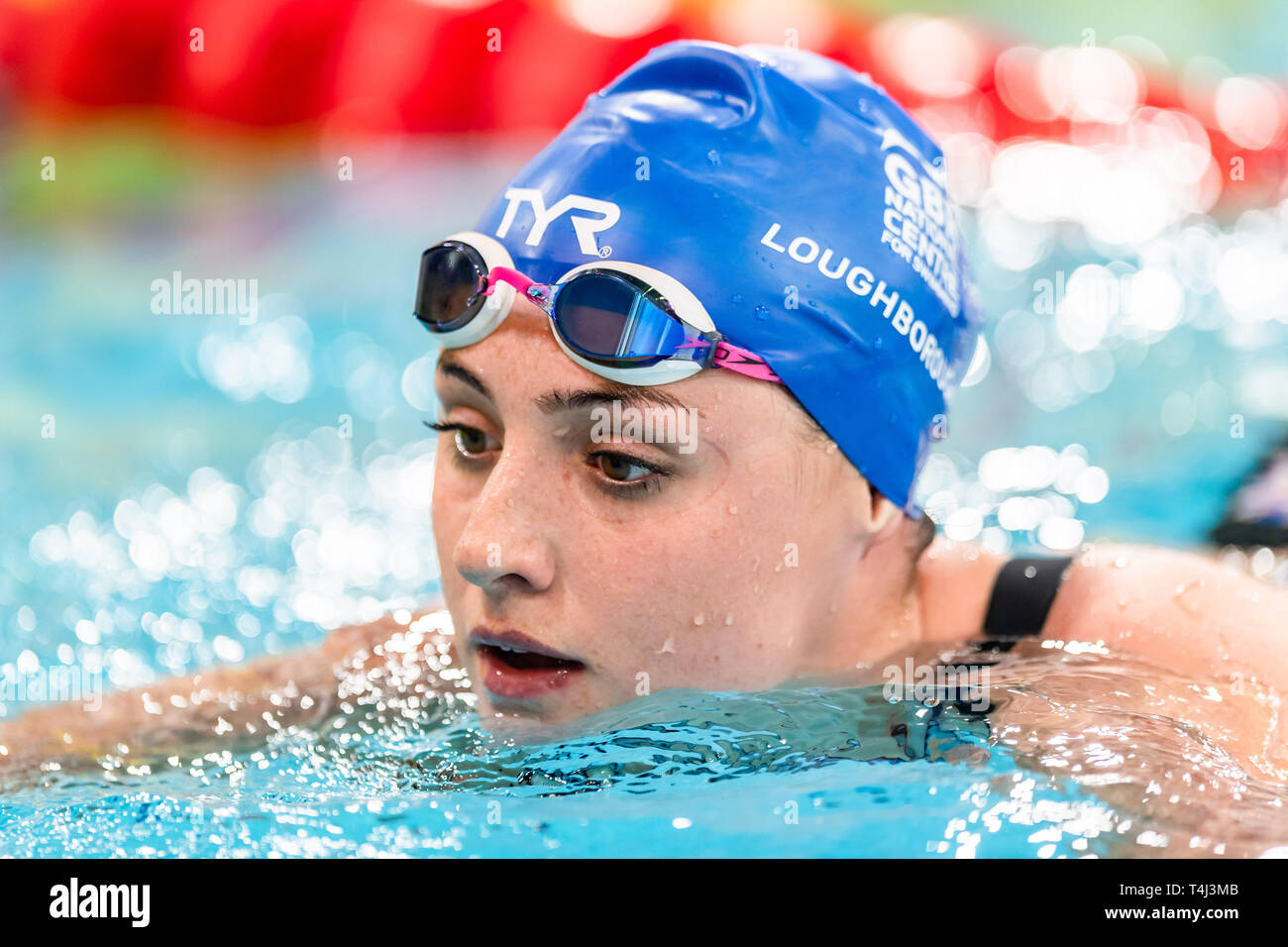 Molly dive hi-res stock photography and images - Alamy