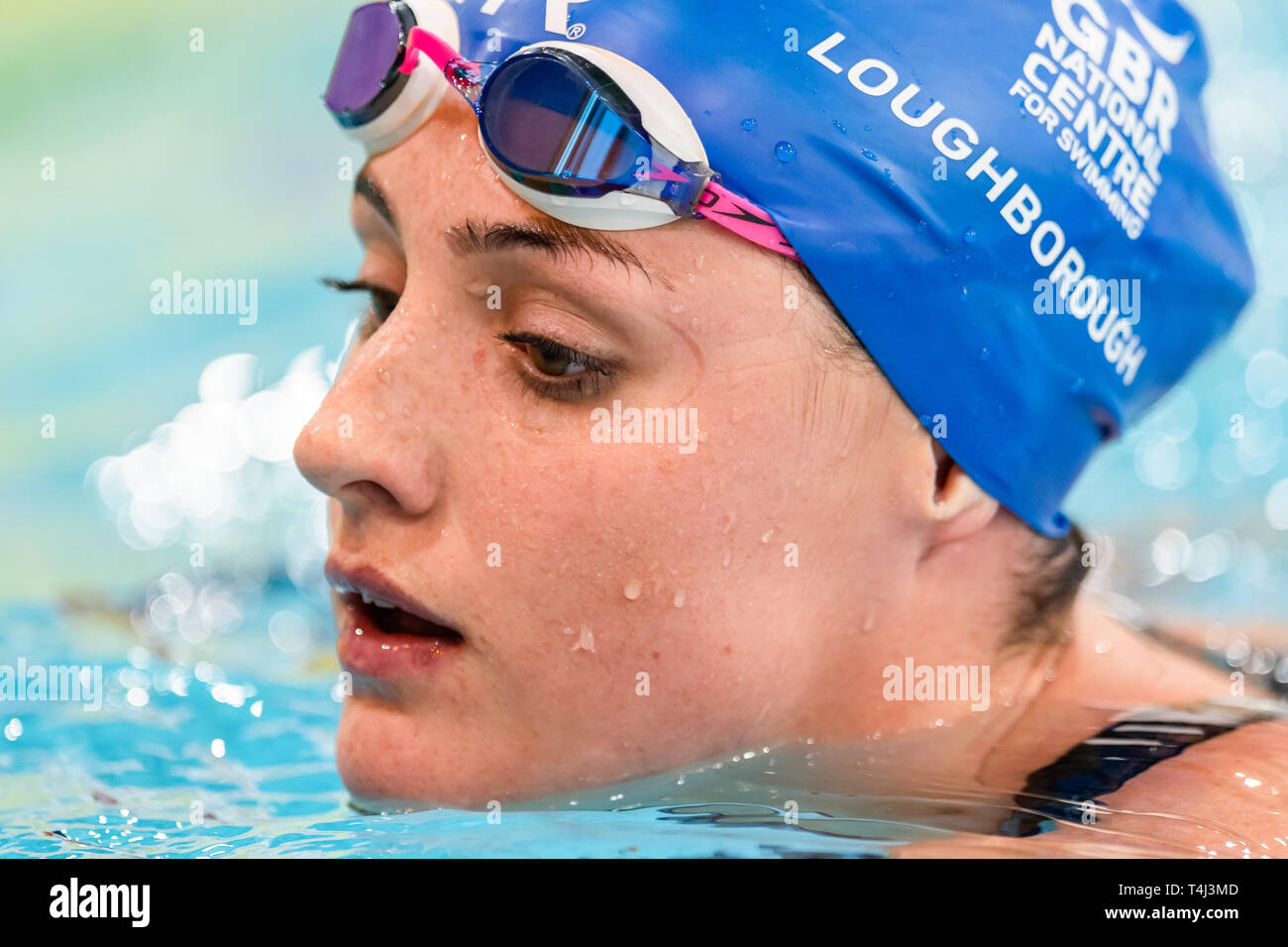 Molly dive hi-res stock photography and images - Alamy