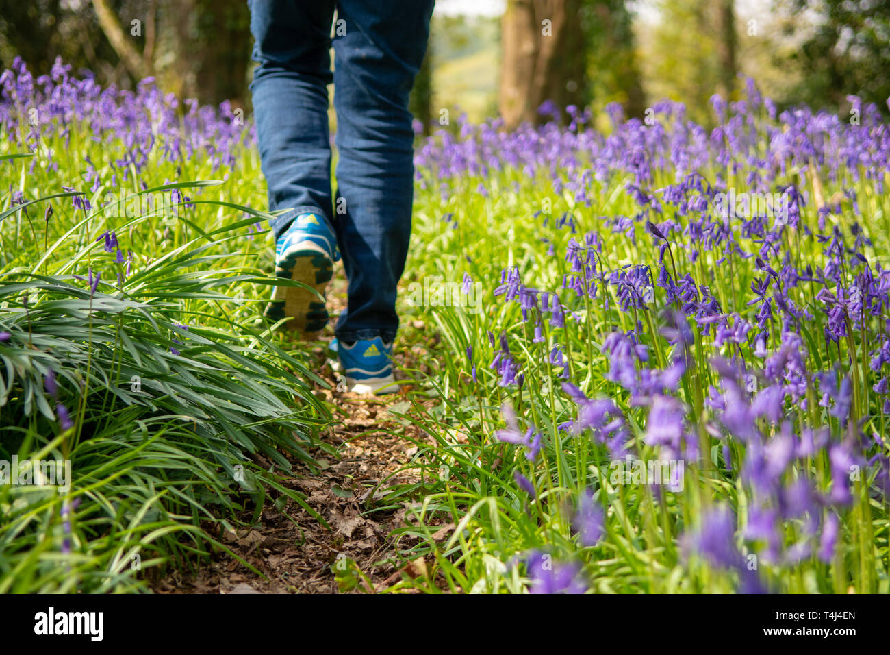 Walking through flowers hi-res stock photography and images - Alamy