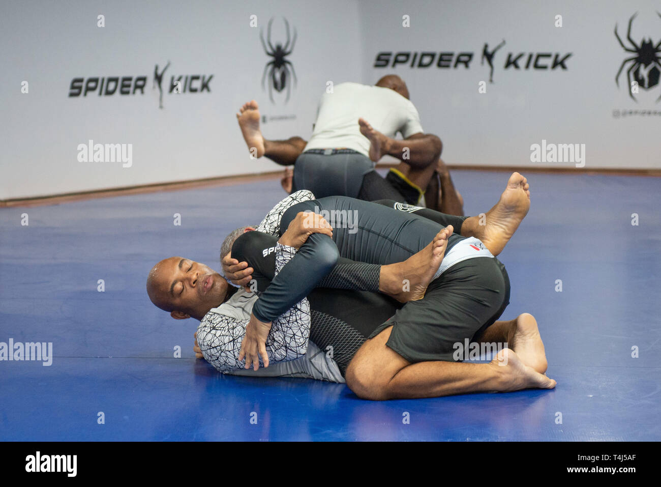 Rio De Janeiro, Brazil. 17th Apr, 2019. UFC® promotes a media day with ...