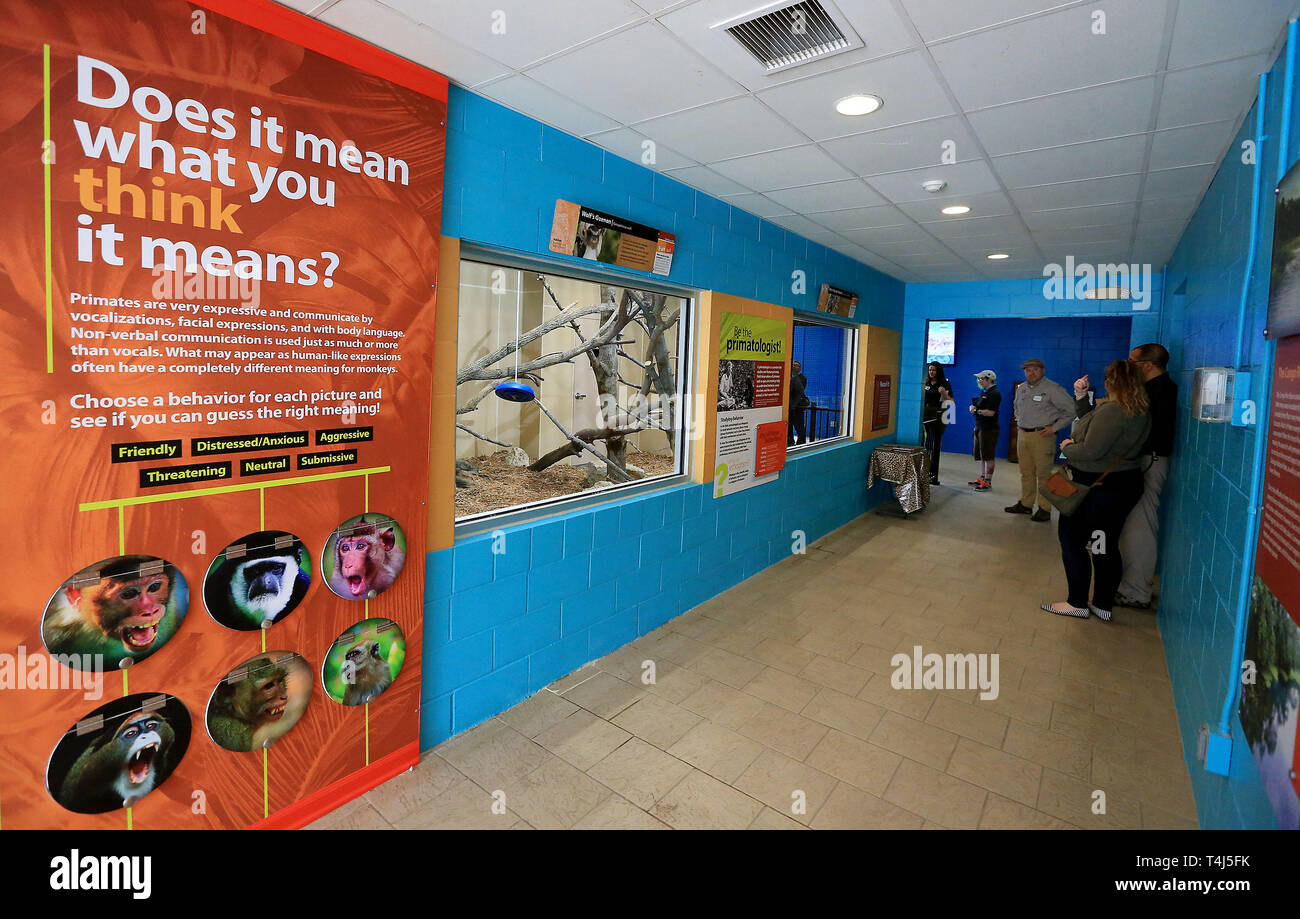 Muscatine, Iowa, USA. 17th Apr, 2019. Niabi Zoo celebrated the opening ...