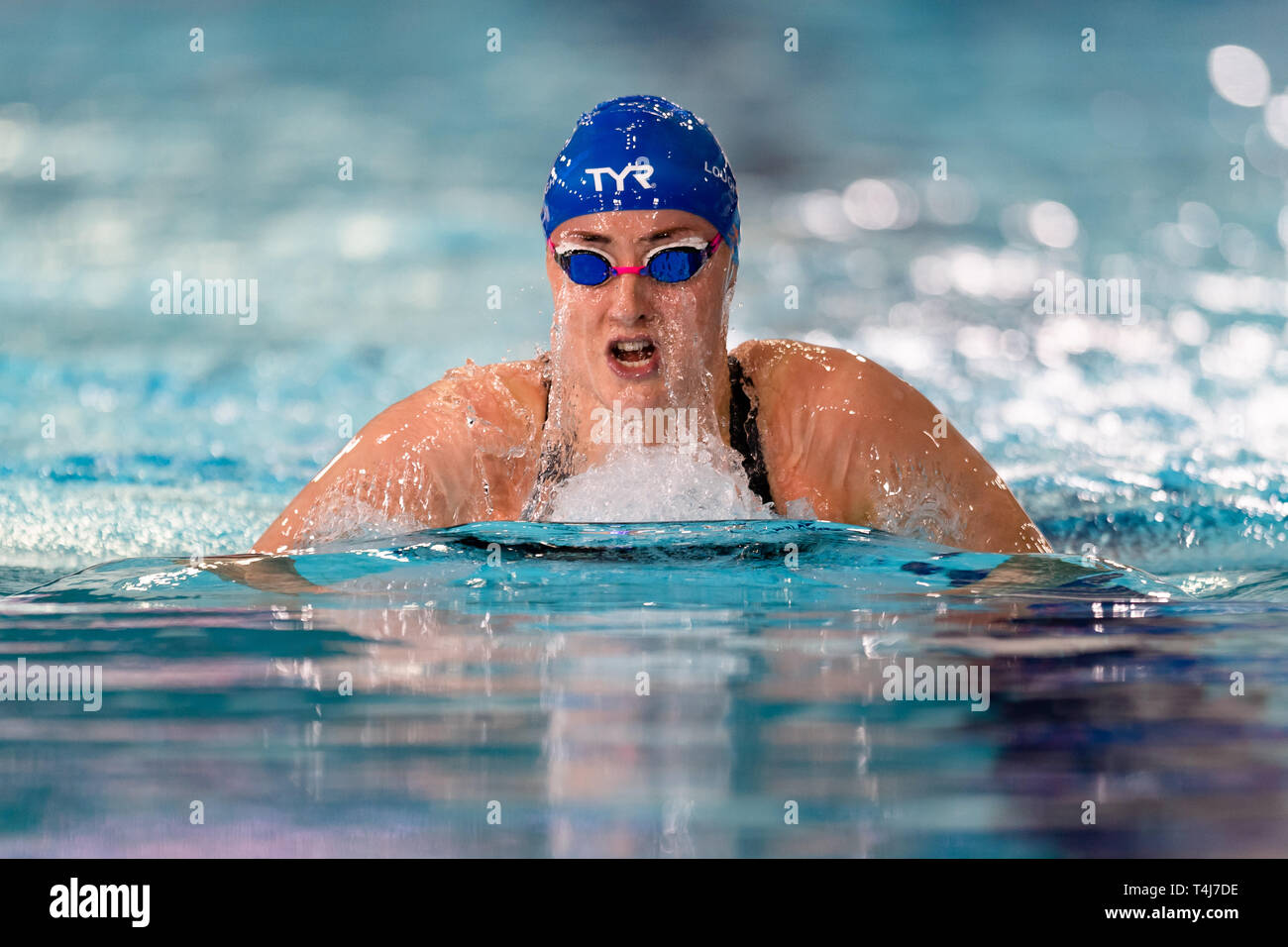 Molly dive hi-res stock photography and images - Alamy