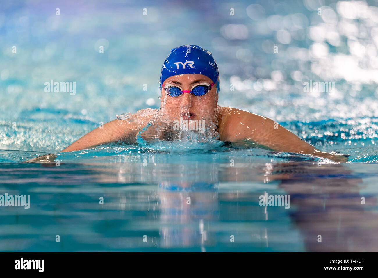 Molly dive hi-res stock photography and images - Alamy