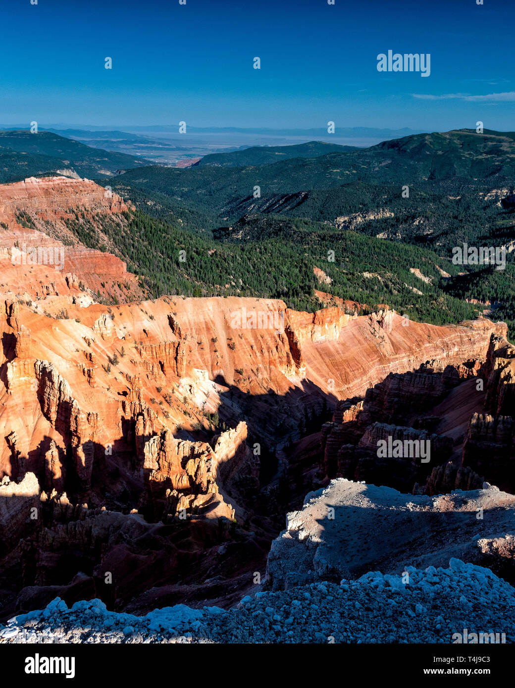 Scenic view forest colorful hi-res stock photography and images - Alamy