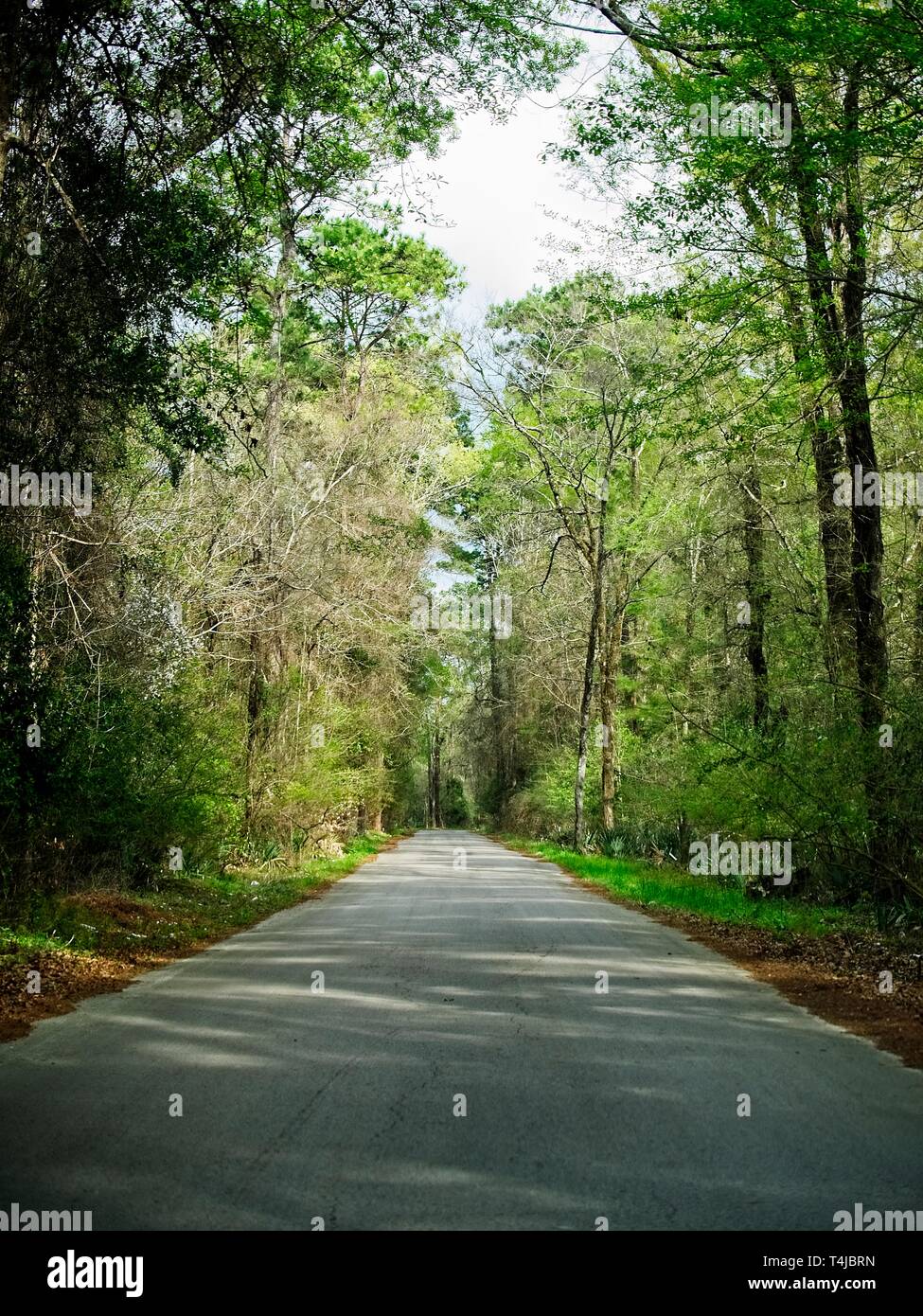 Long winding empty road hi-res stock photography and images - Alamy