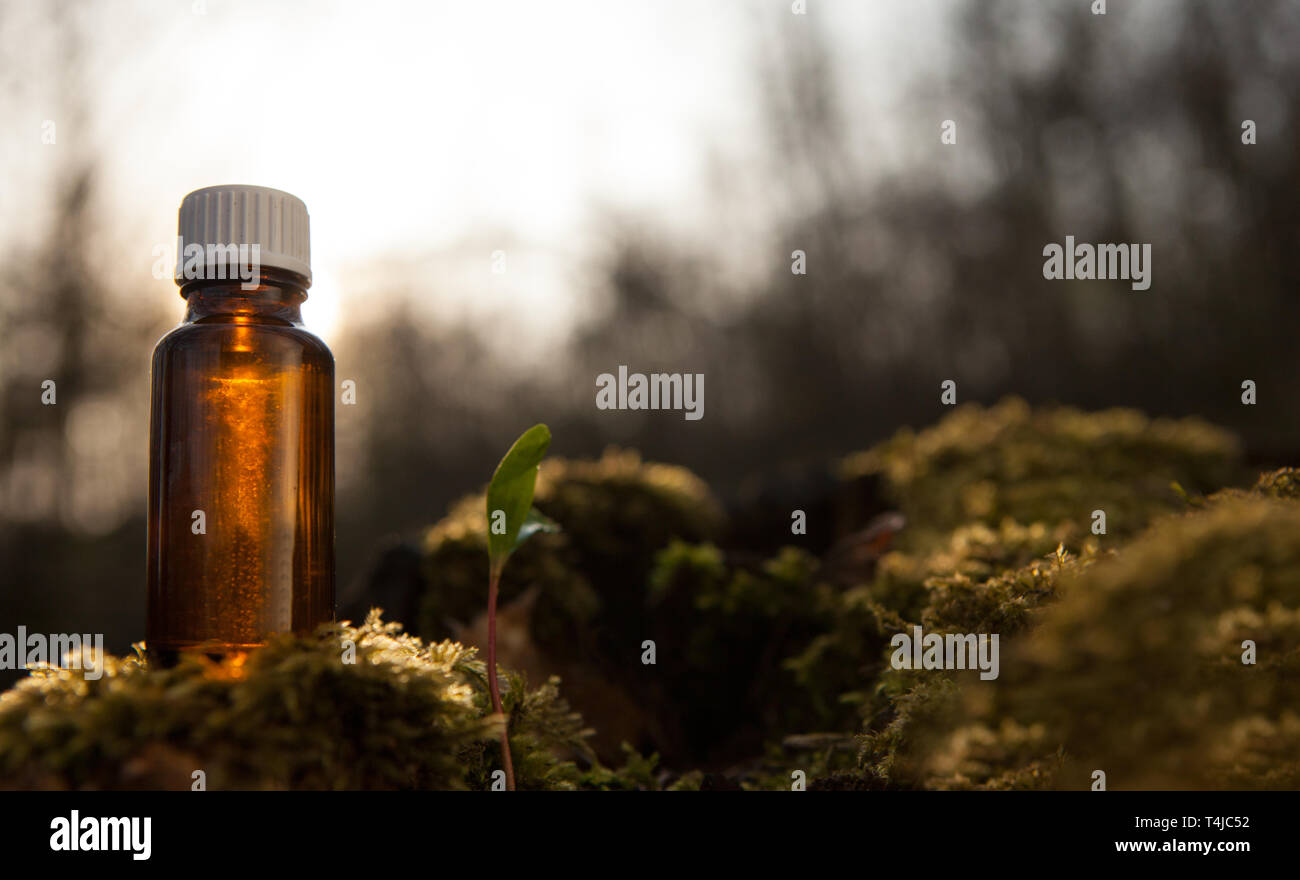 Natural oil - alternative medicine. Healthy drugs from mother nature ...