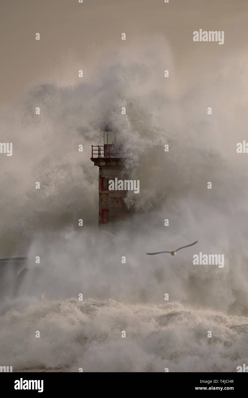 Big stormy wave splash covering old lighthouse at sunset Stock Photo ...