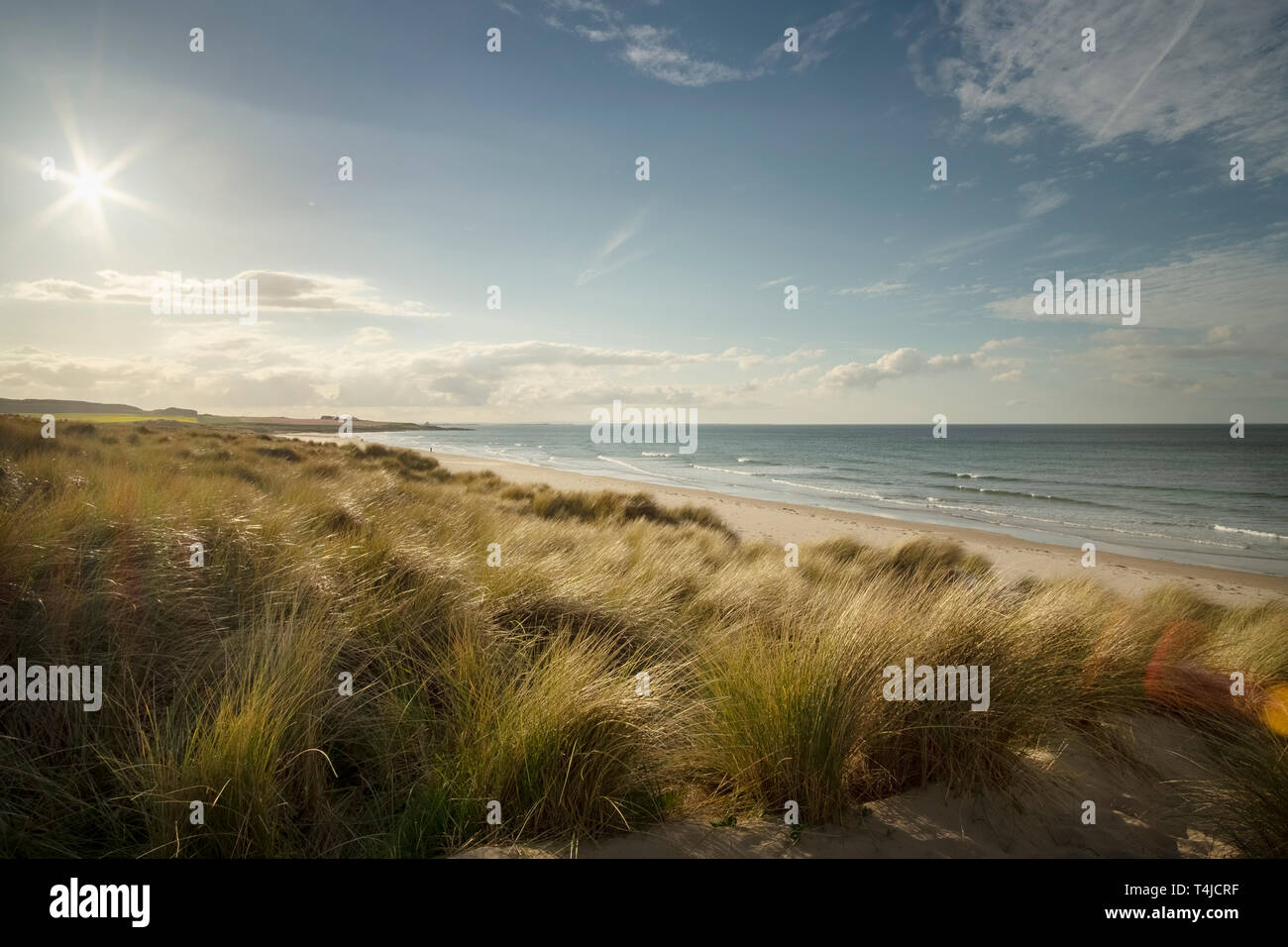 Bamburgh beach and dunes, Northumberland, England, UK Stock Photo - Alamy