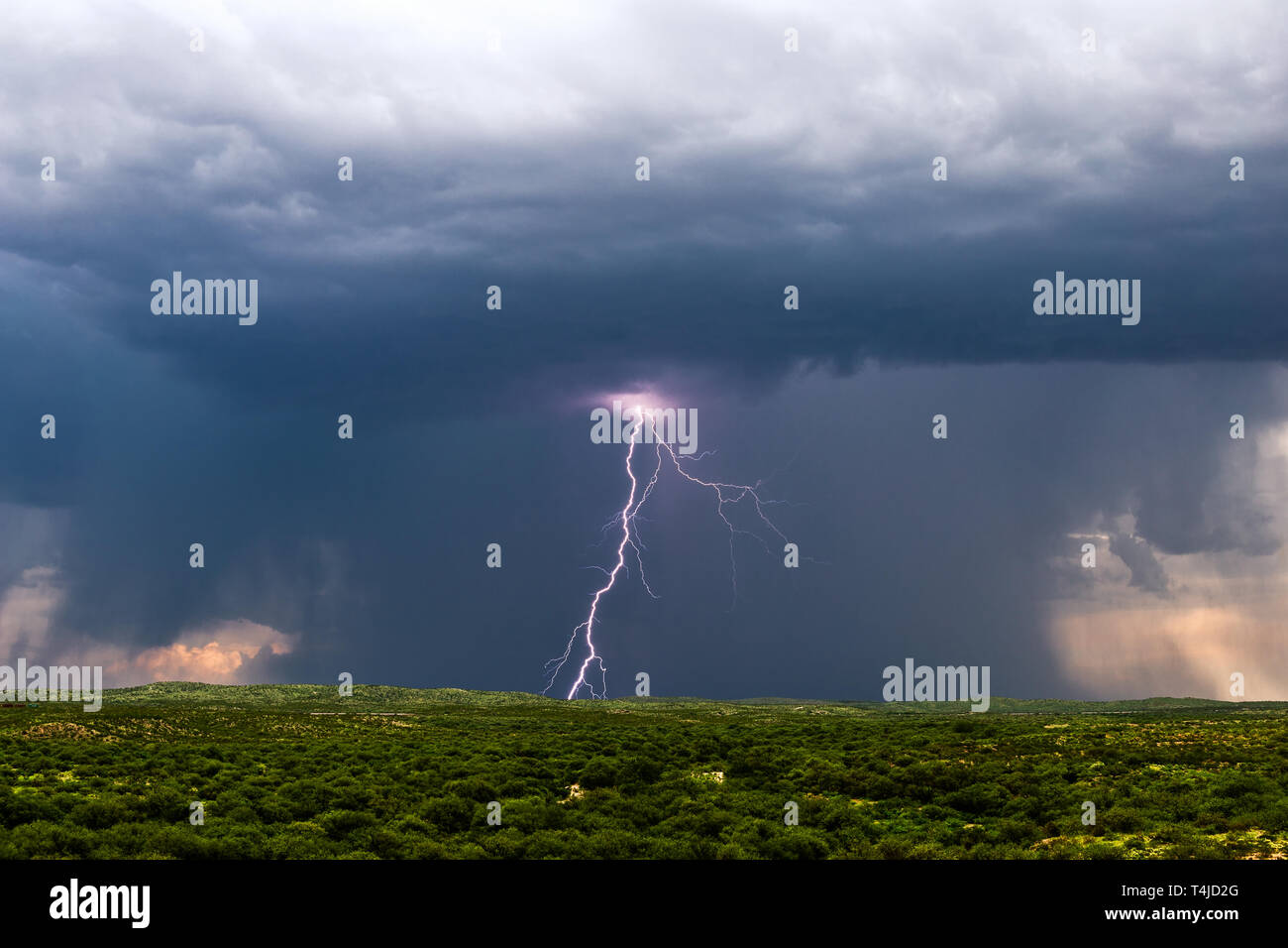 A bright lightning strike in a thunderstorm near Benson, Arizona Stock ...
