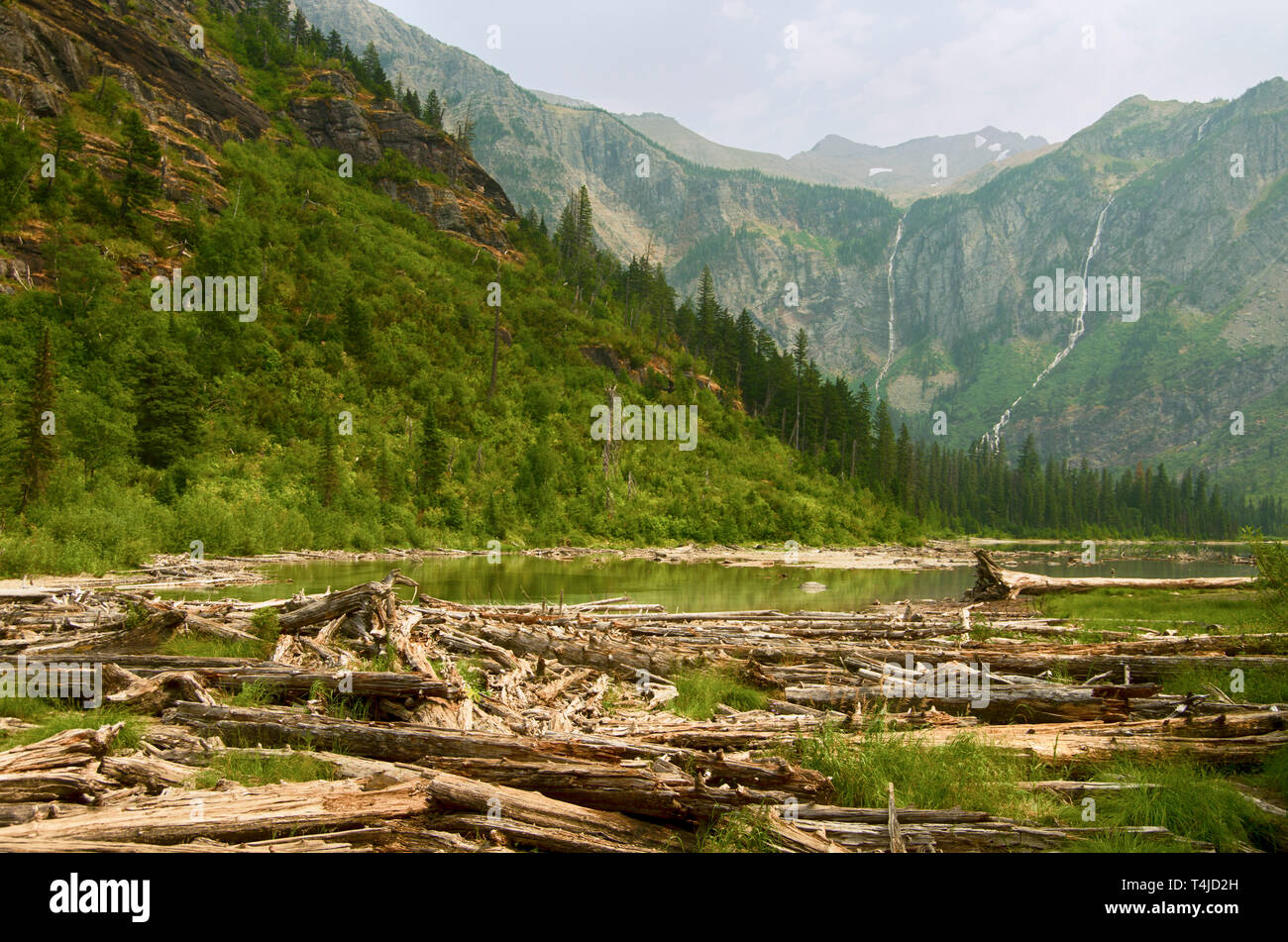 Avalanche Lake, Glacier National Park, Montana, USA Stock Photo - Alamy