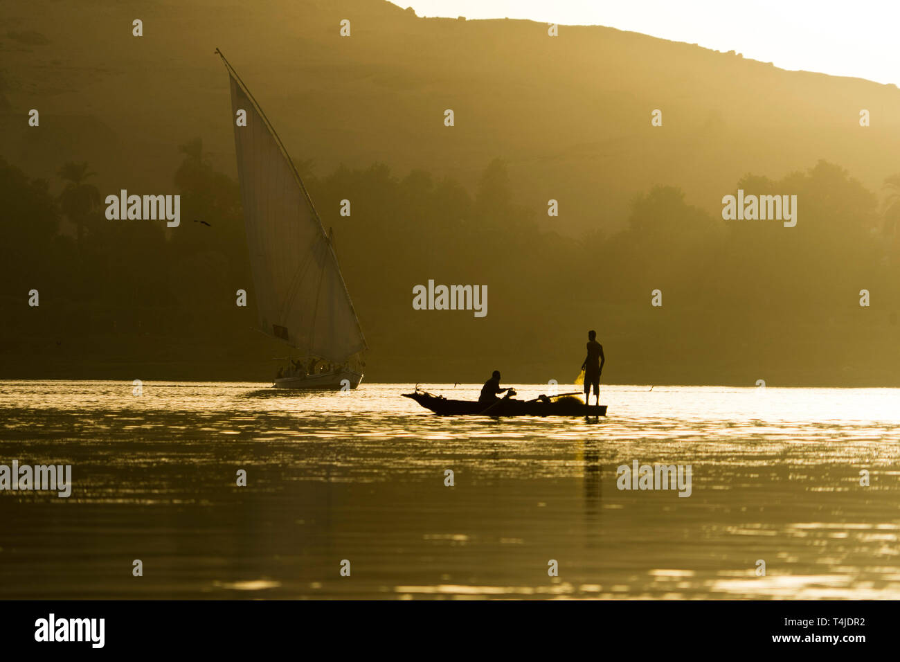 Felucca boats, Nile, Aswan Egyp Stock Photo - Alamy