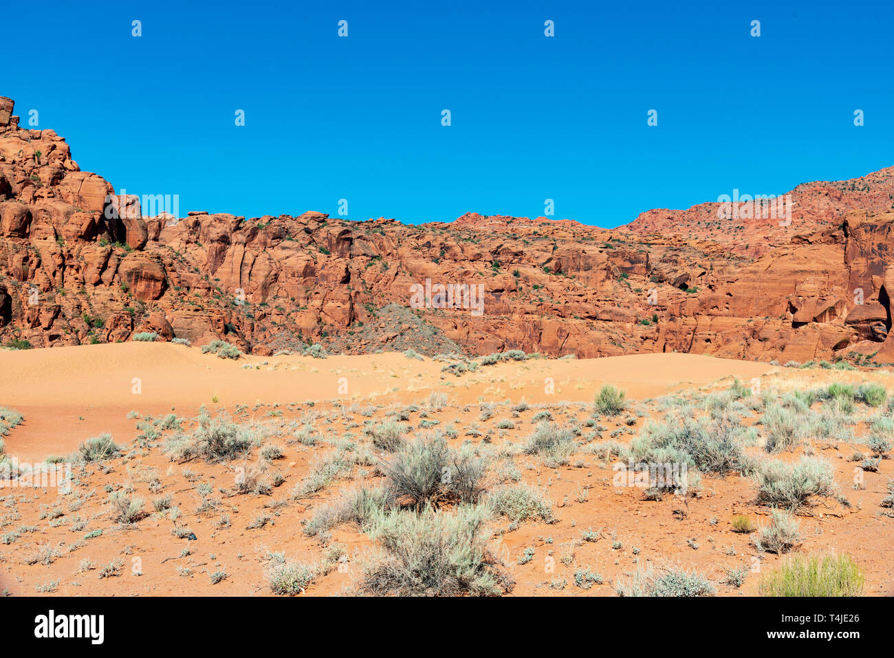 Sandy desert floor gives way to red-orange rocky canyon wall under blue ...