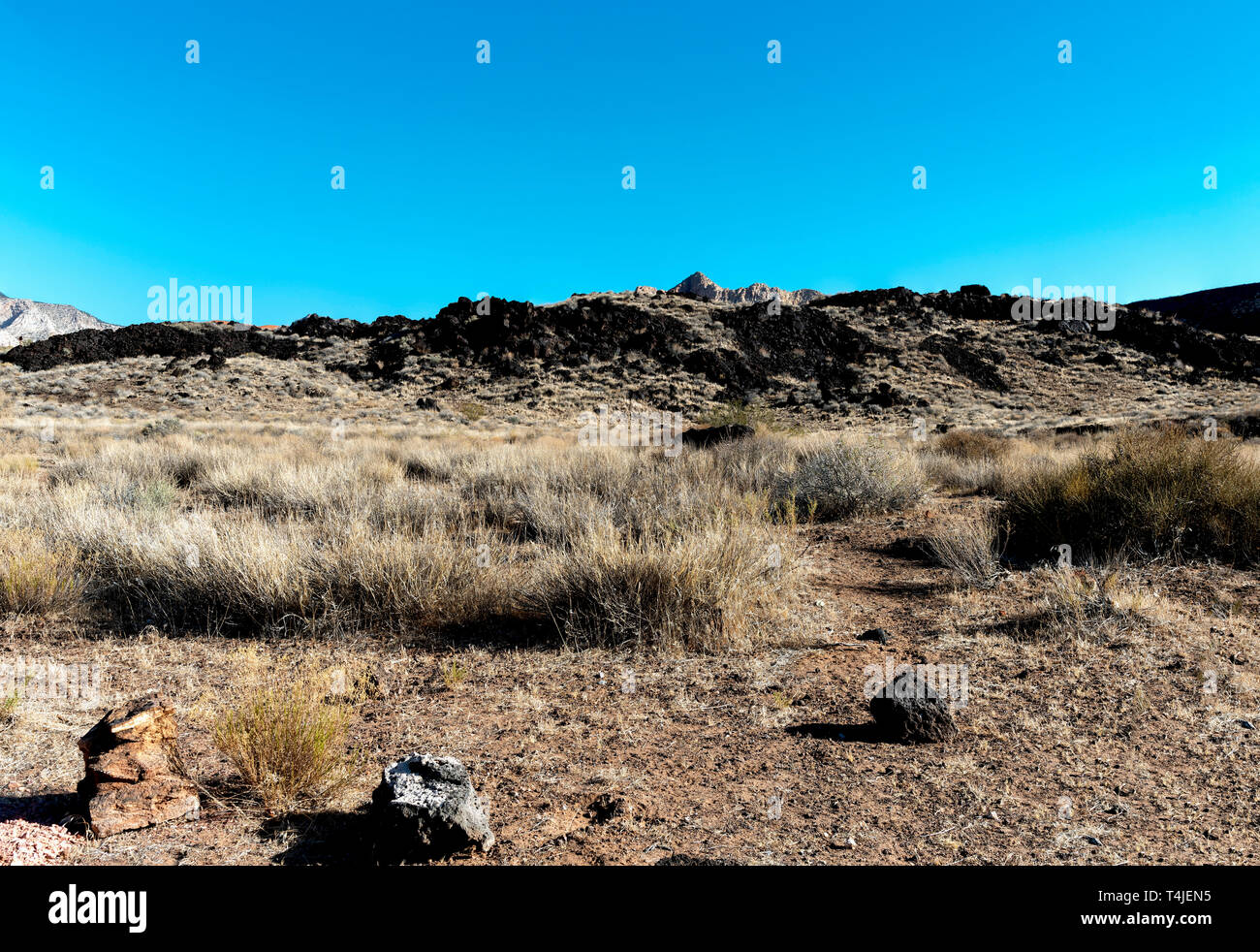 Large rocks, dry desert dirt and dead brush give way to dark rocky ...