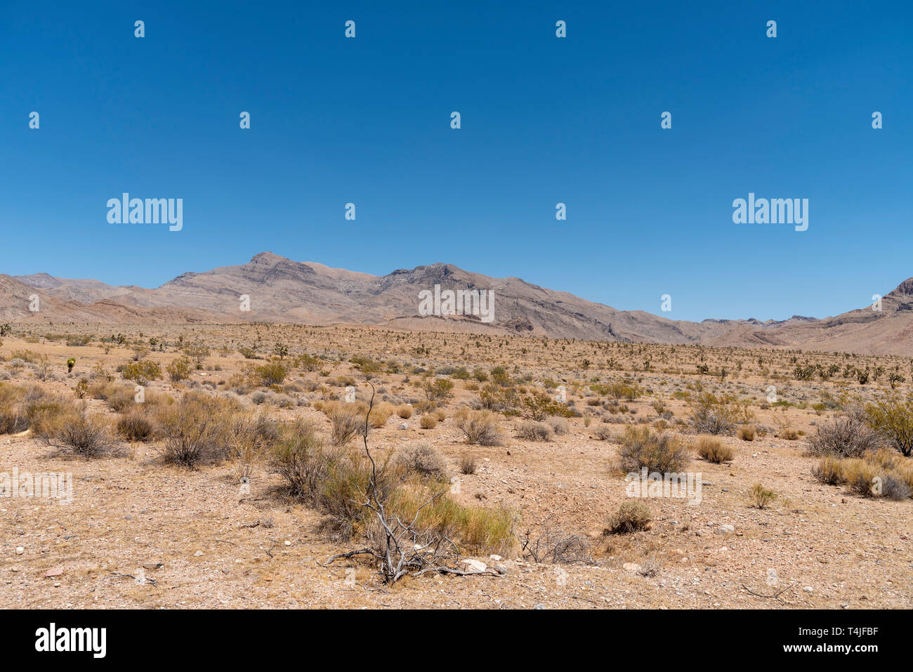Sunny desert hillside with mountains beyond under bright blue skies ...