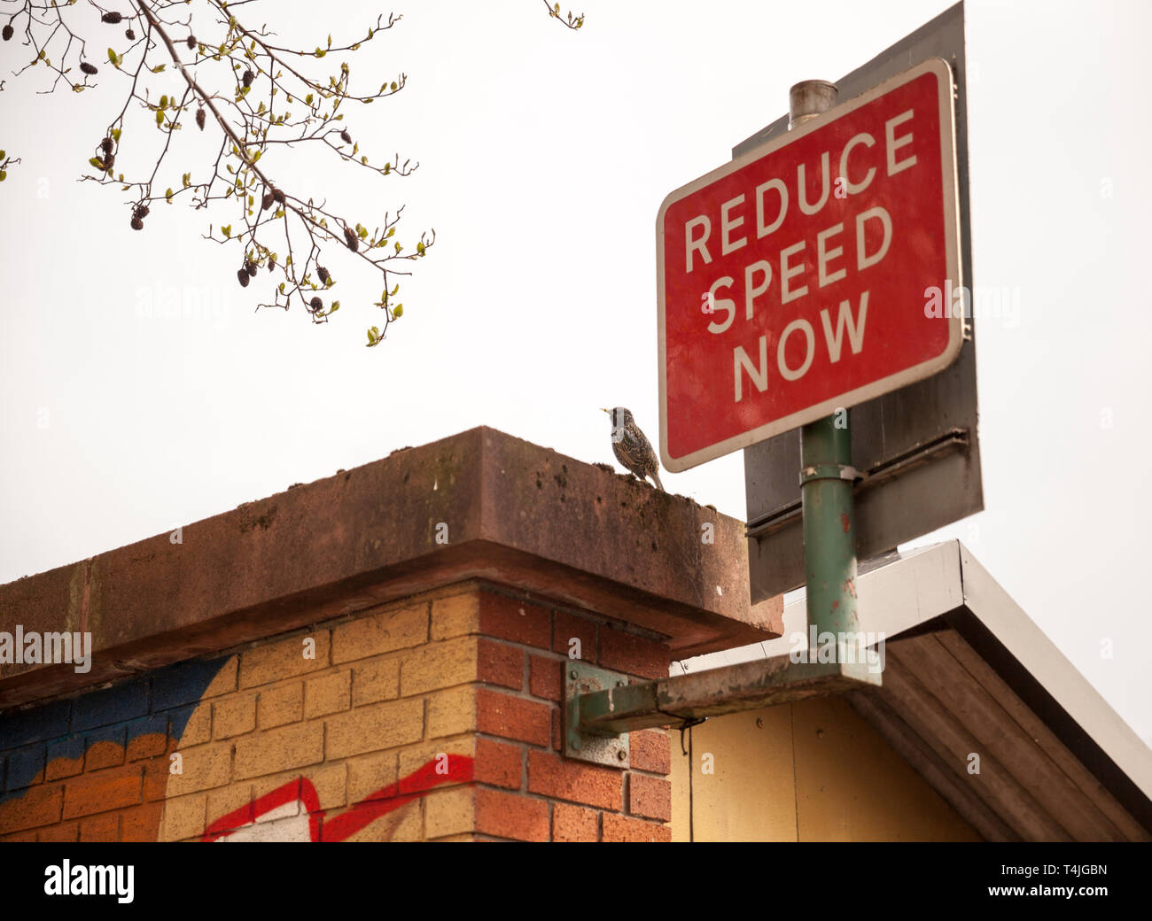 Safety sign now a hazard hi-res stock photography and images - Alamy