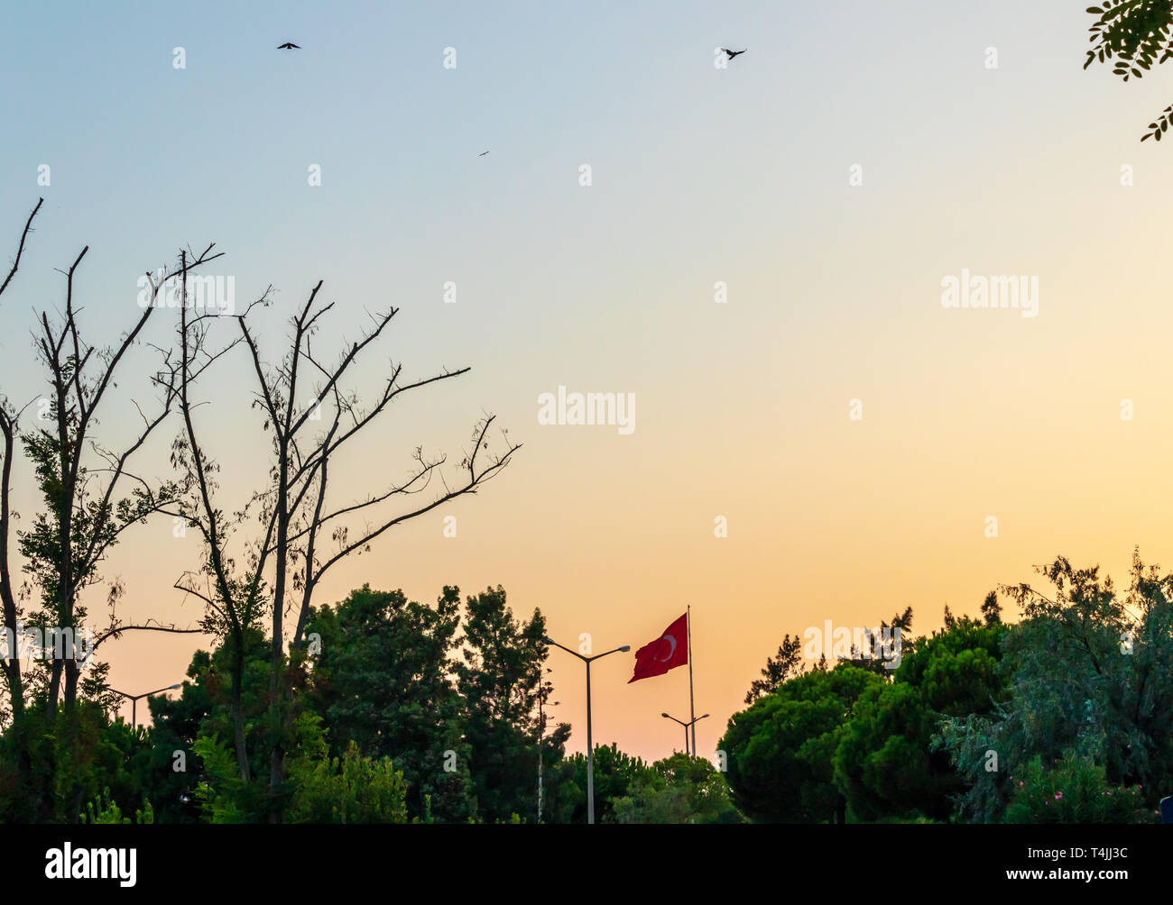 Turkey shoot hi-res stock photography and images - Alamy