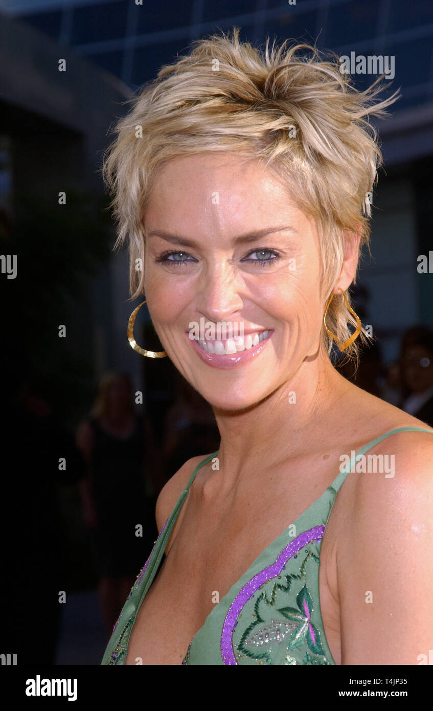 Sharon Milan's Instagram, Twitter & Facebook on IDCrawl