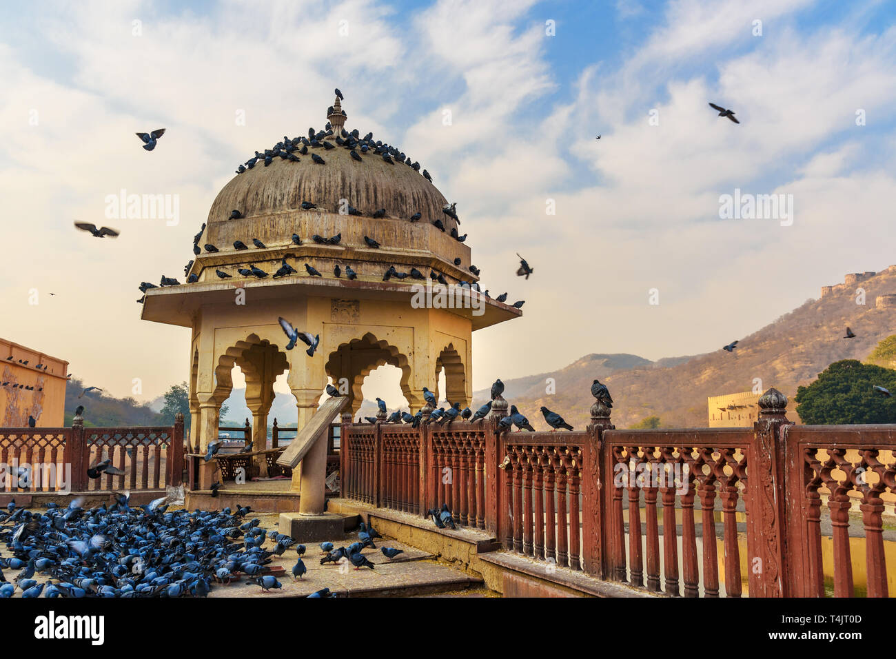 Rajasthan bird hi-res stock photography and images - Alamy