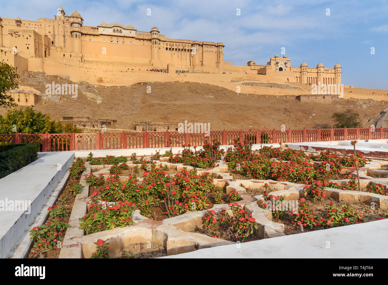 View of Amber fort and palace from Kesar Kyari Bagh garden on Maotha ...