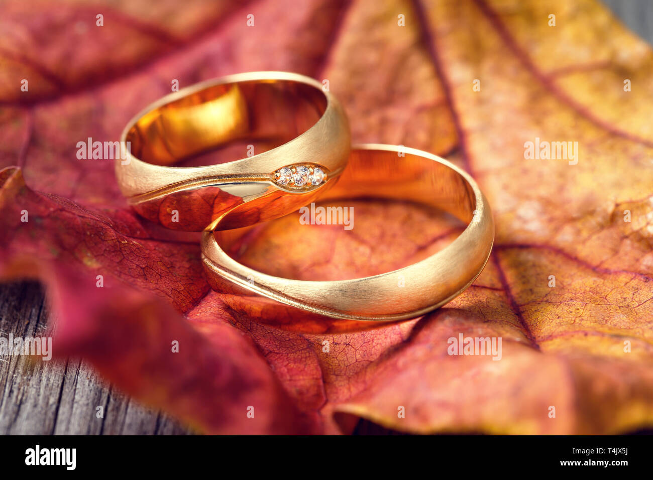 Golden wedding rings tied hi-res stock photography and images - Alamy