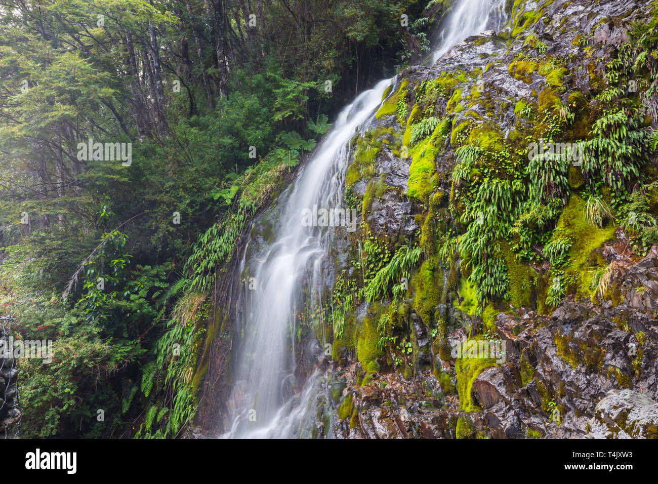 Beautiful waterfall in Chile, South America Stock Photo - Alamy