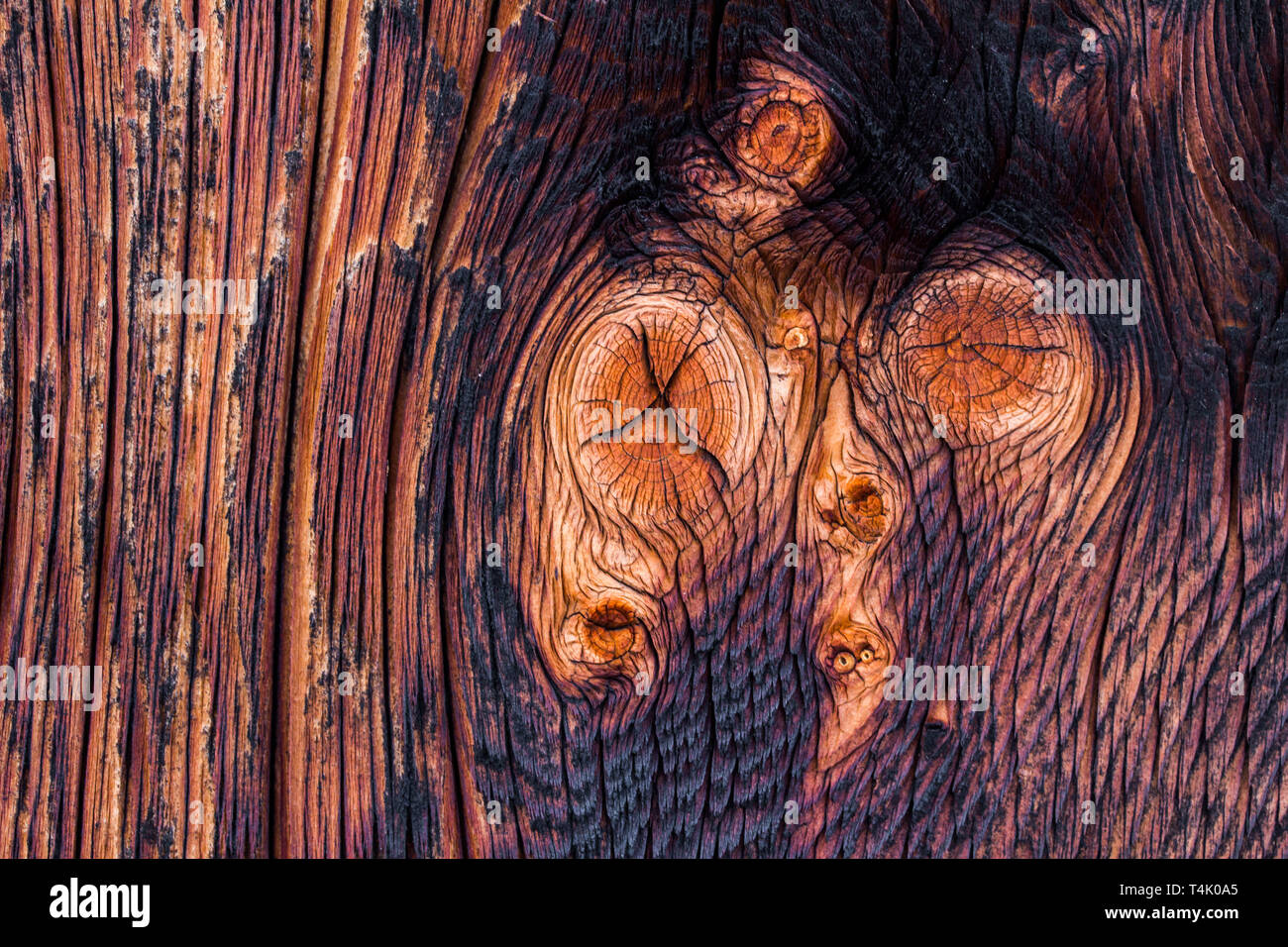 Closeup picture of old rustic wood, knothole Stock Photo - Alamy