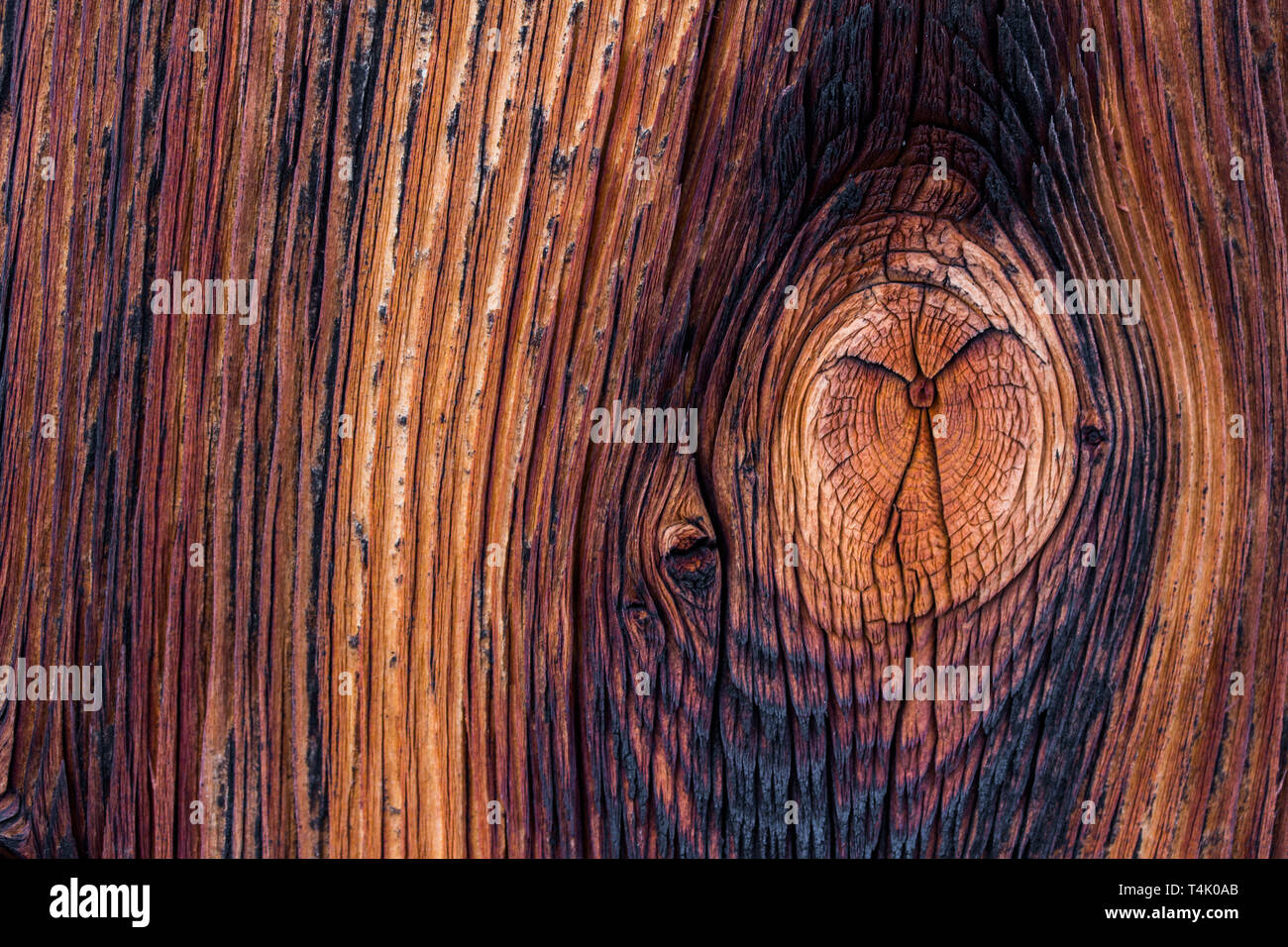 Closeup picture of old rustic wood, knothole Stock Photo - Alamy
