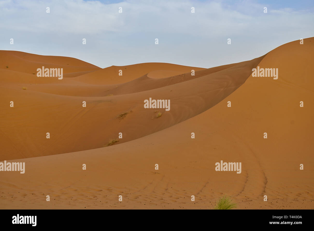 Berber tribe hi-res stock photography and images - Alamy