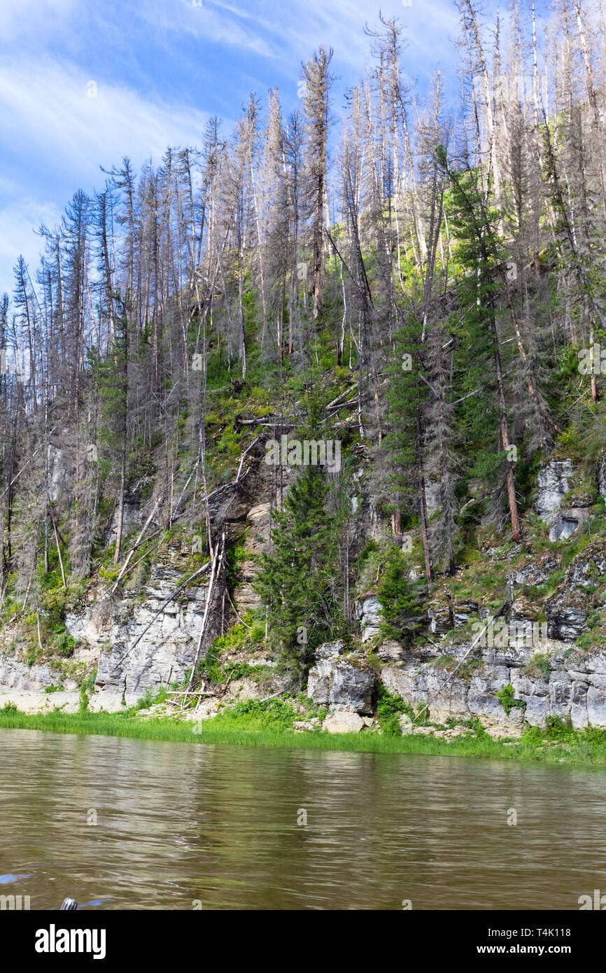Taiga rivers hi-res stock photography and images - Alamy