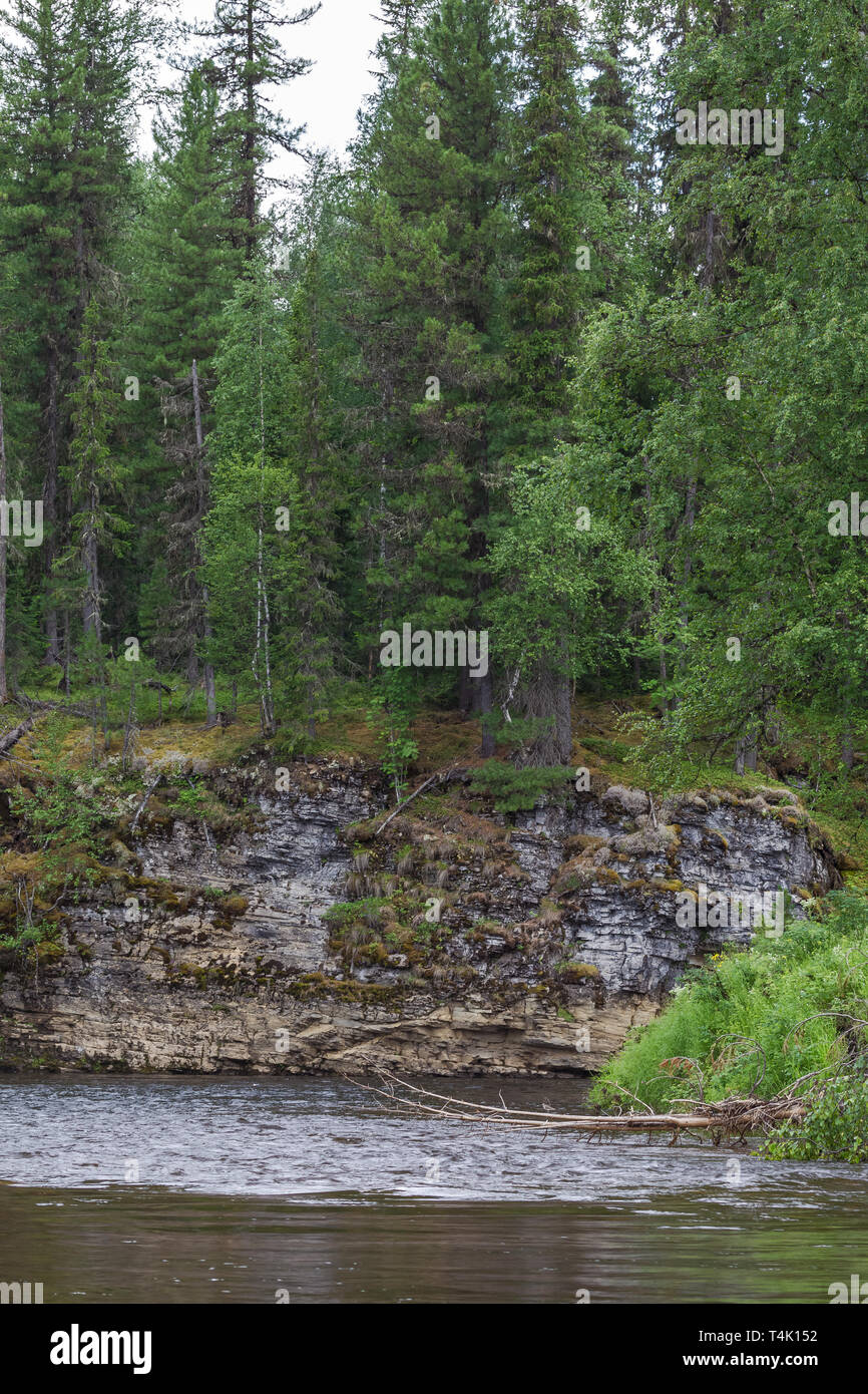 Landscape with trees. The rivers of the north of Siberia. Russia Stock ...