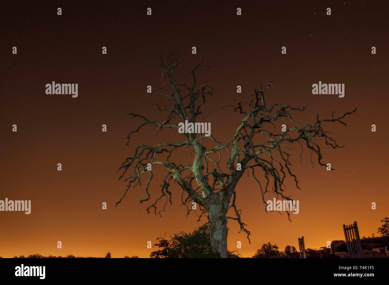 Light pollution hi-res stock photography and images - Alamy