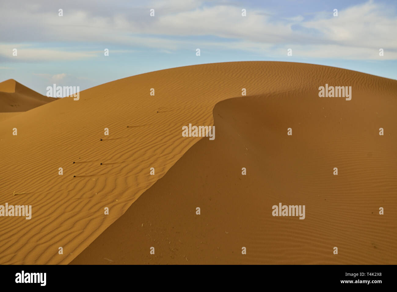 Berber tribe hi-res stock photography and images - Alamy