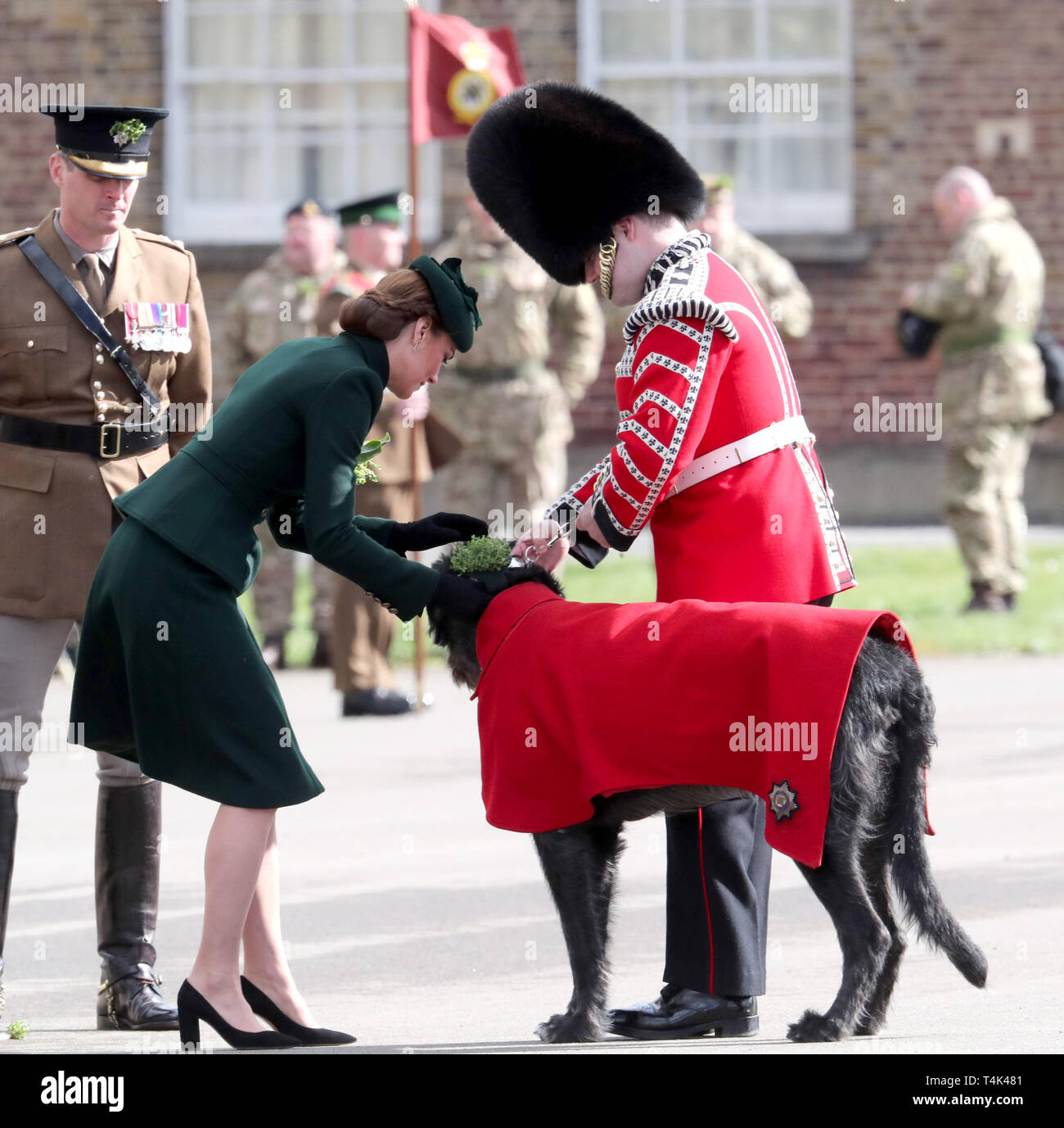 Colonel of the irish guards hi-res stock photography and images - Alamy