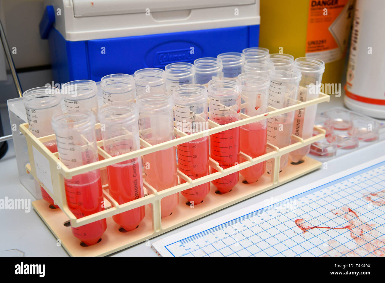 Human tissues hi-res stock photography and images - Alamy