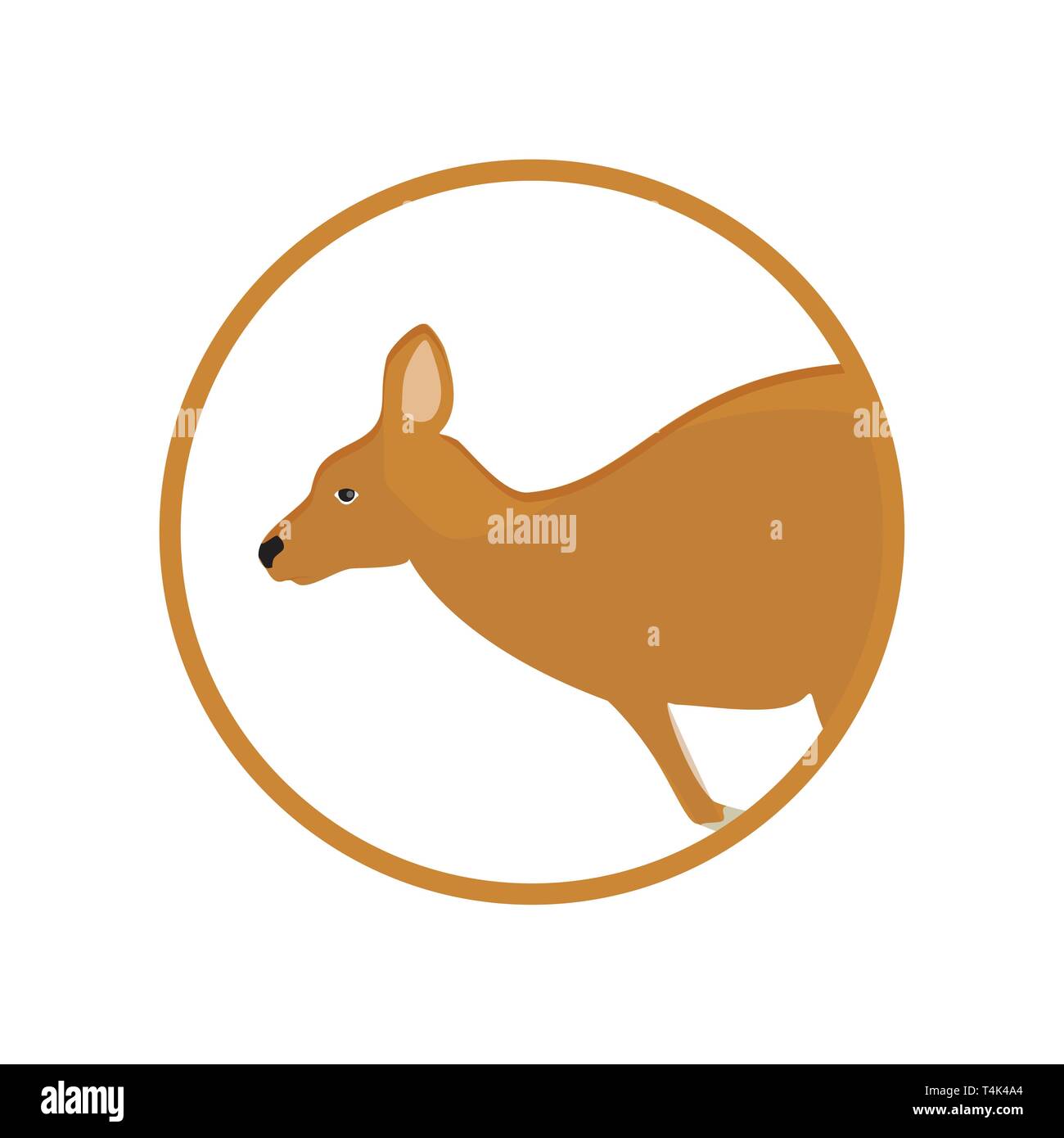 Australian animal zoo icon kangaroo Stock Vector Image & Art - Alamy