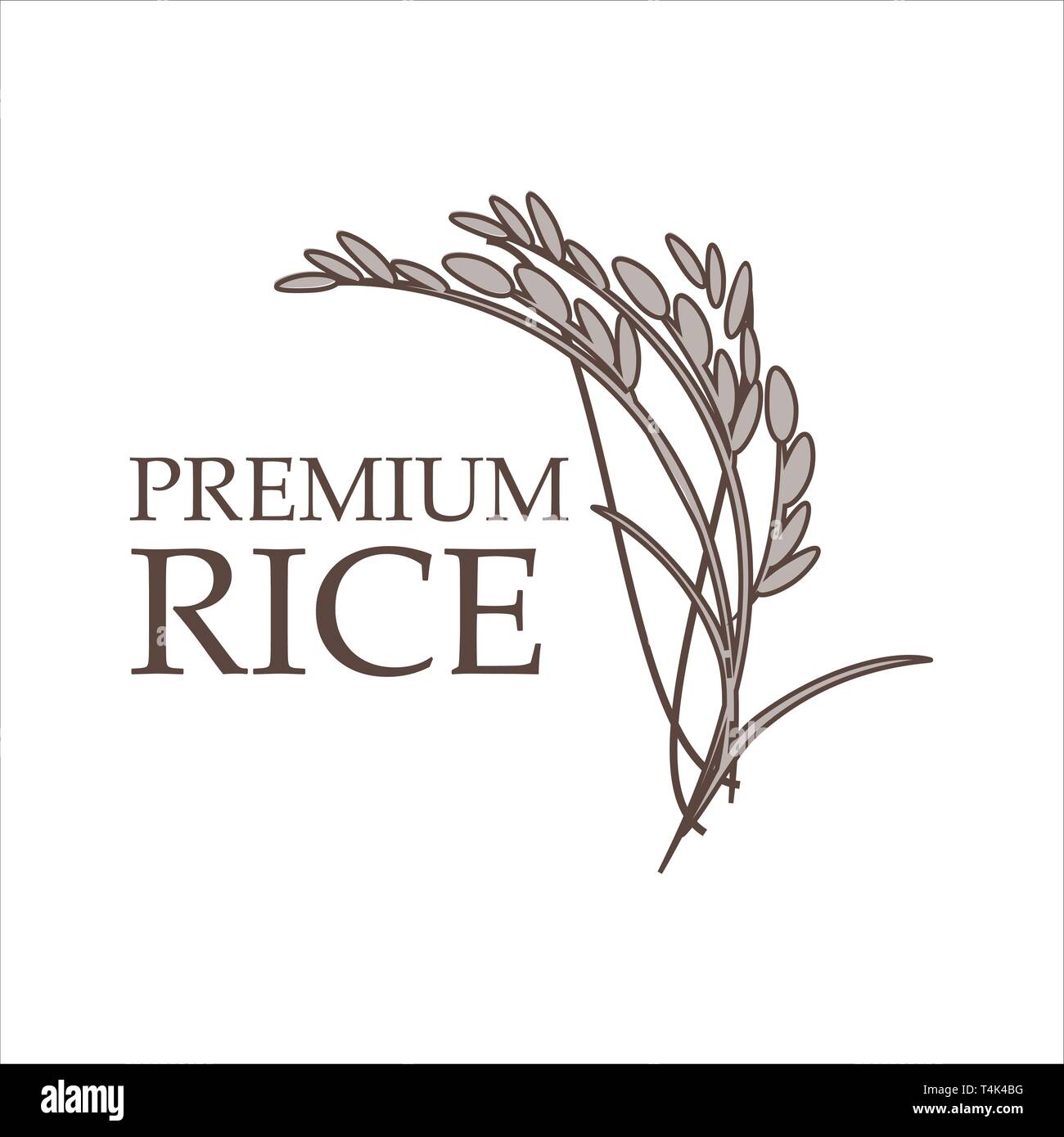 Rice Paddy Stock Vector Images - Alamy