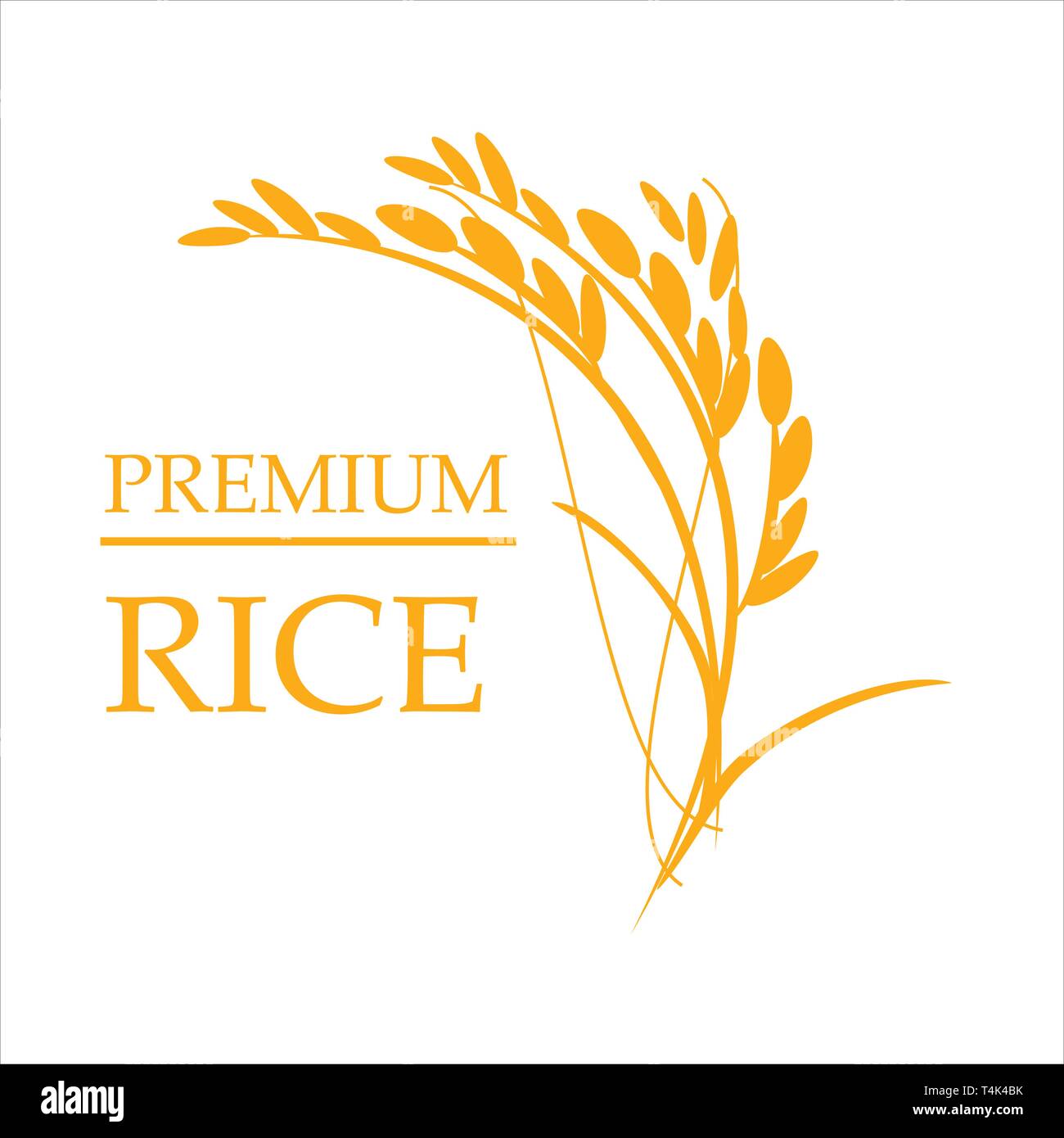 Paddy Field Stock Vector Images - Alamy
