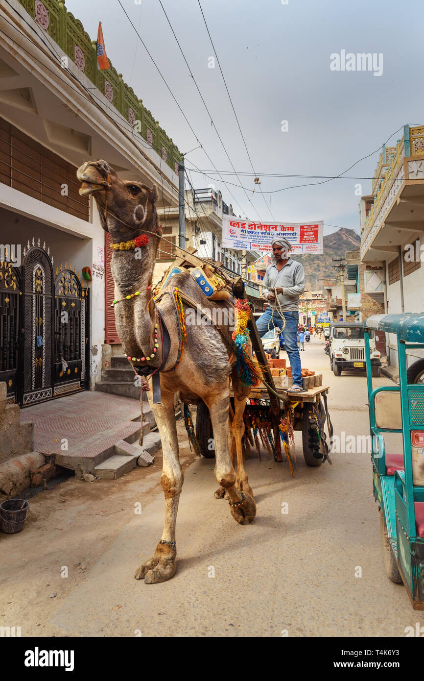 Camel cart driver hi-res stock photography and images - Alamy