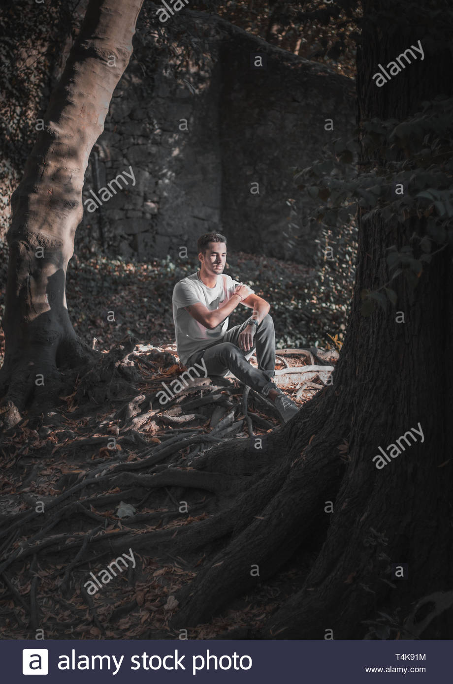 Root Hair Stock Photos & Root Hair Stock Images - Alamy