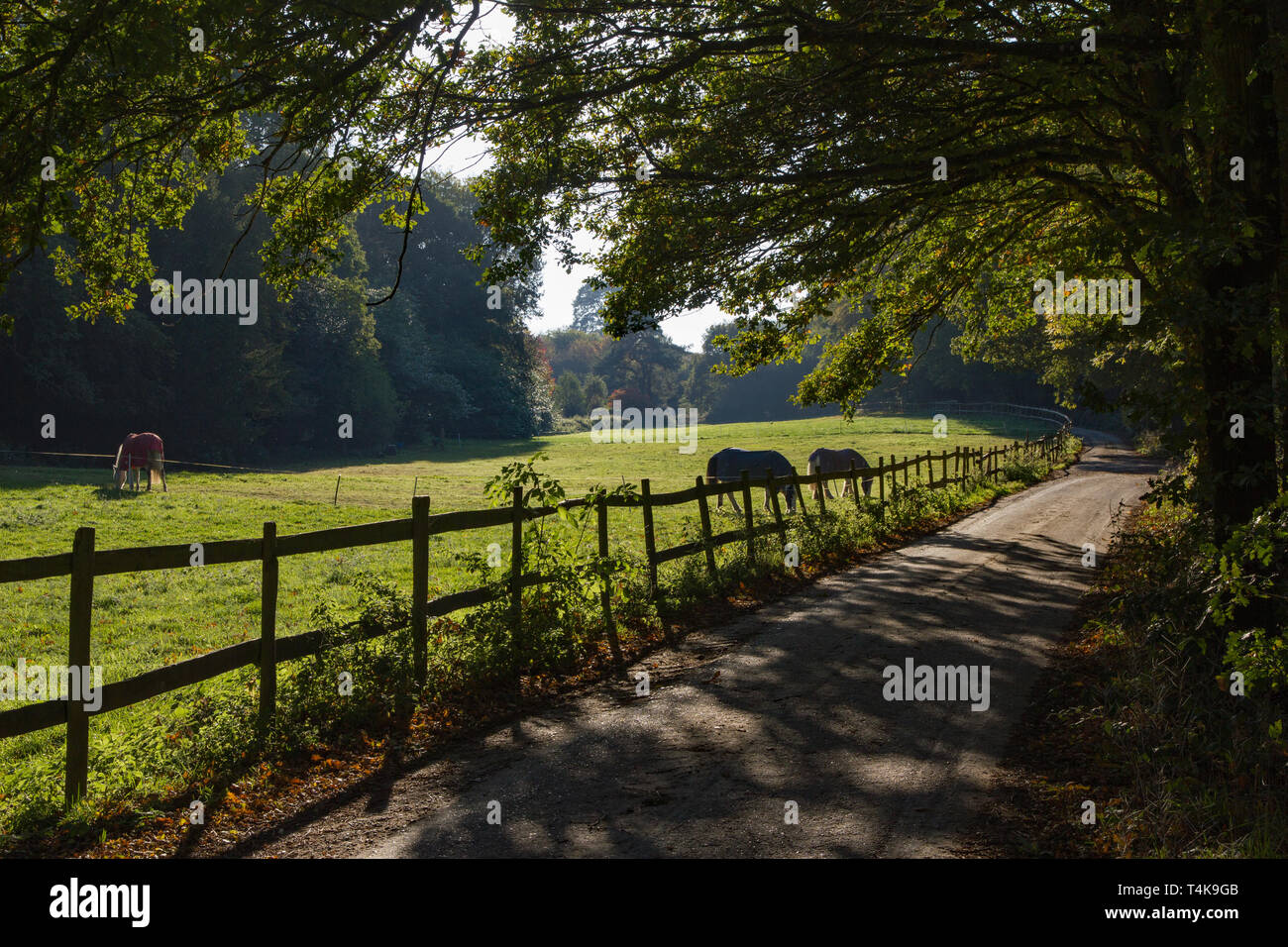 Bucolic Scene Stock Photos & Bucolic Scene Stock Images - Alamy