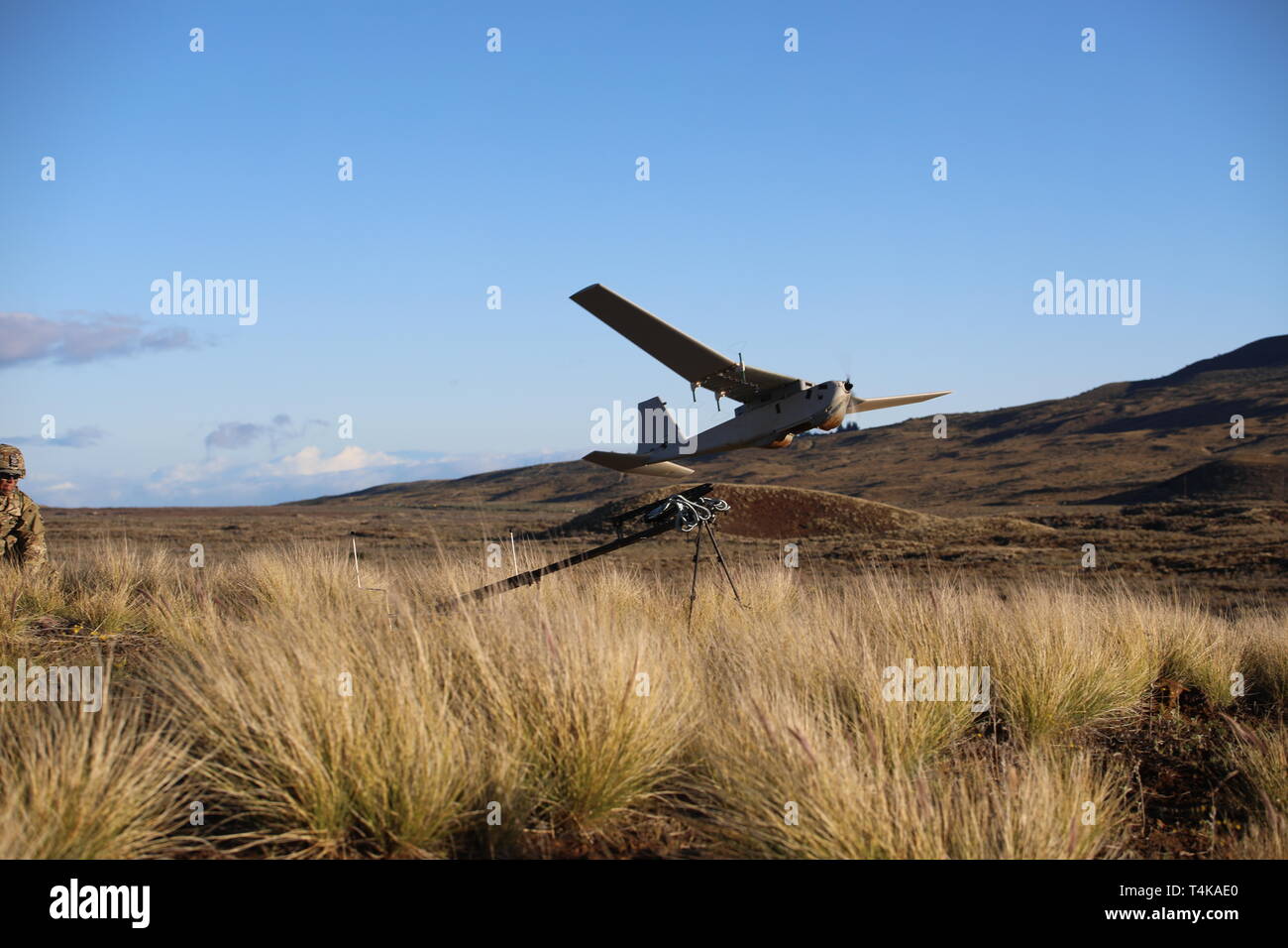 Puma Robinson High Resolution Stock Photography and Images - Alamy