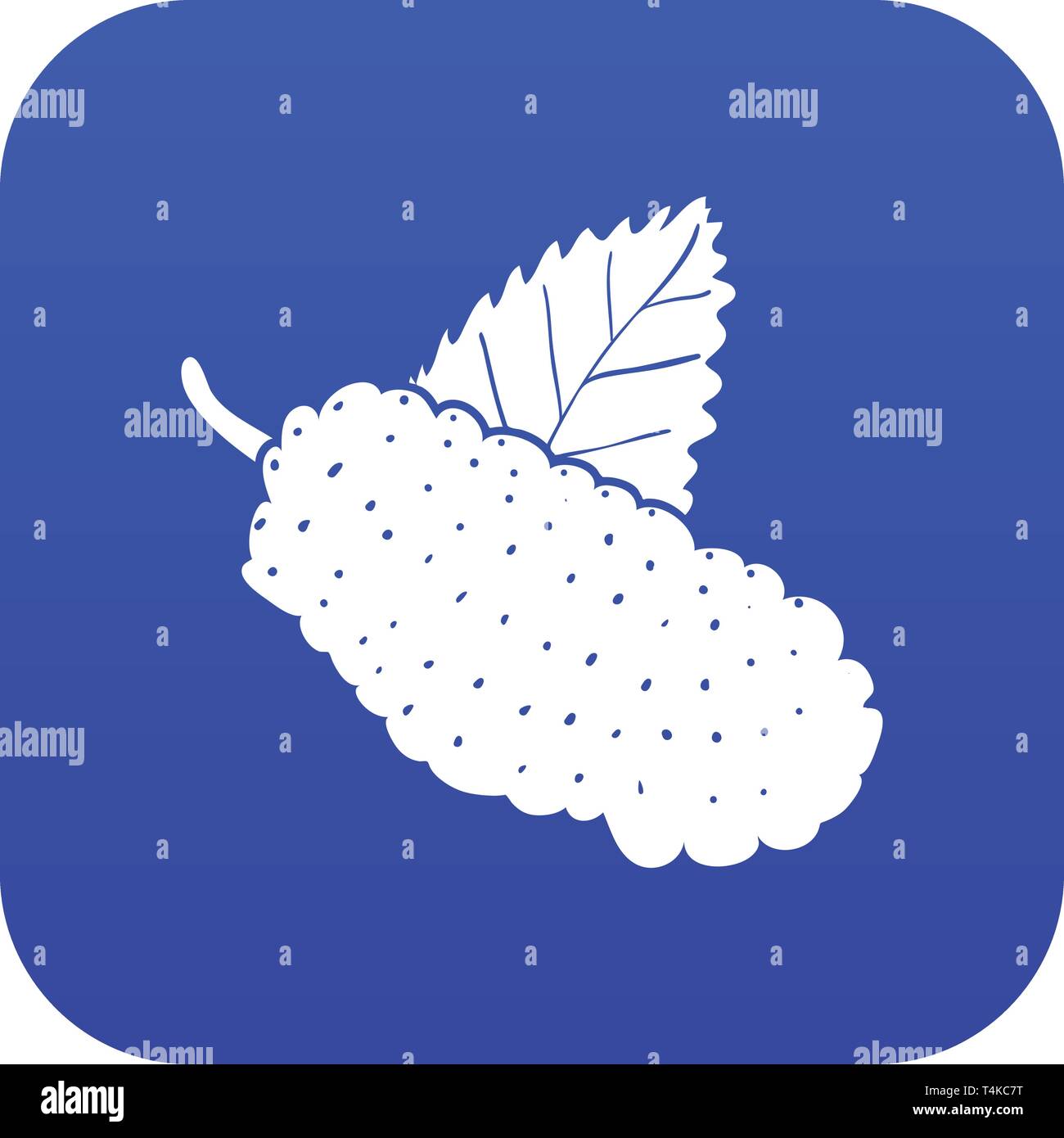 White mulberry tree Stock Vector Images - Alamy