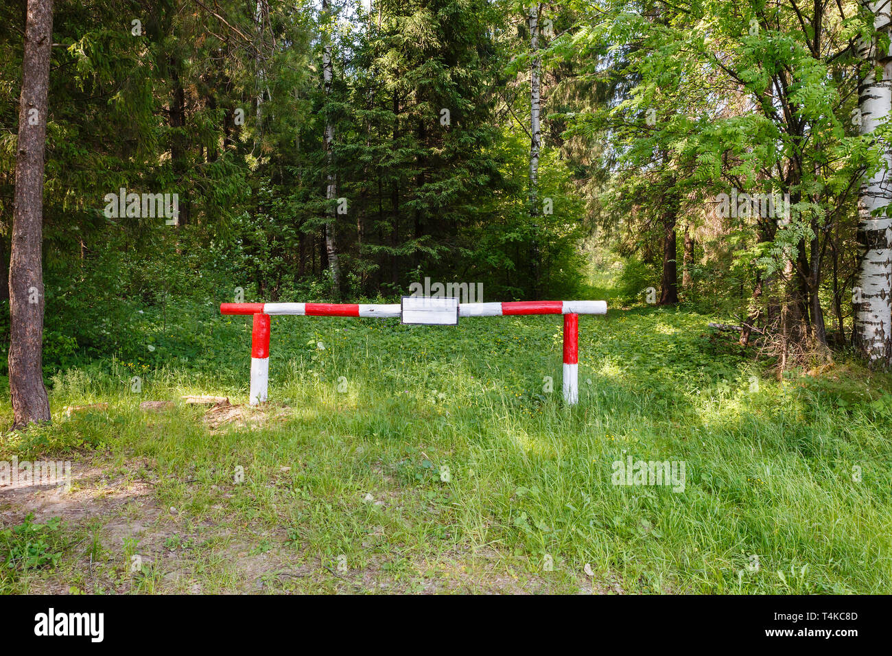 barrier in the forrest. The ban on entry into the forest Stock Photo ...