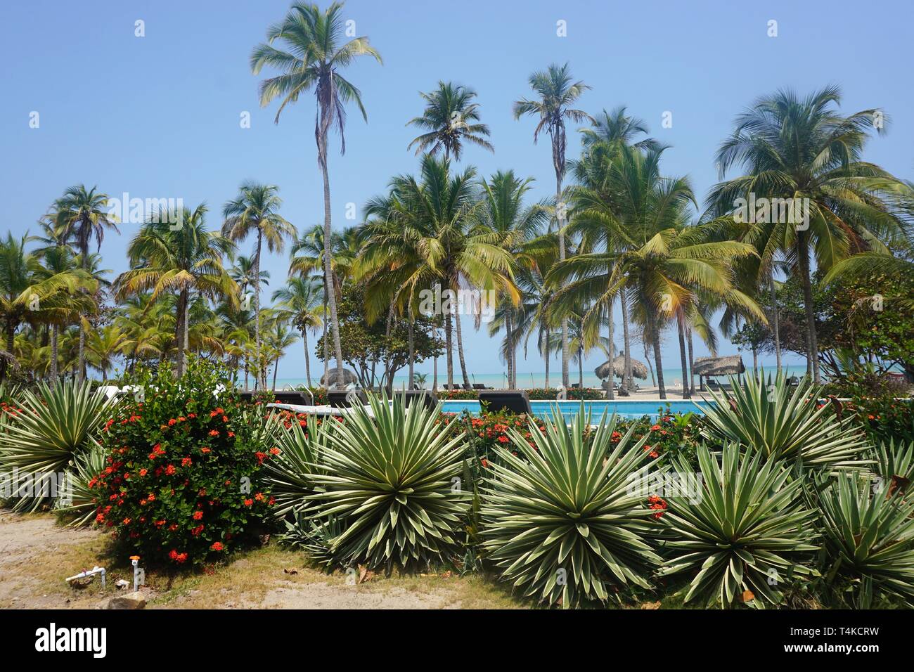Picture postcard view hi-res stock photography and images - Alamy