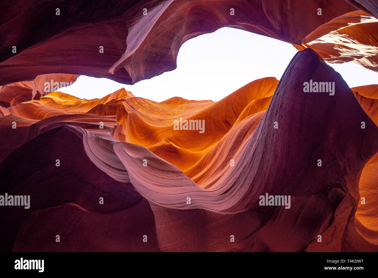 Antelope Canyon - amazing colors of the sandstone rocks Stock Photo - Alamy