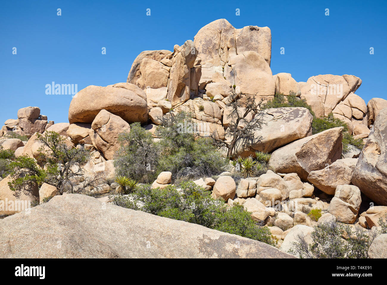 Rock tree landscape hi-res stock photography and images - Alamy