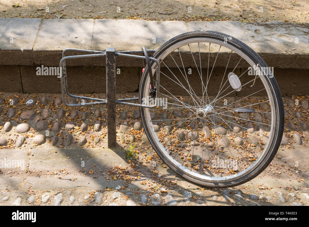 Single front bicycle wheel padlocked to bike rack in Oxford Stock Photo ...